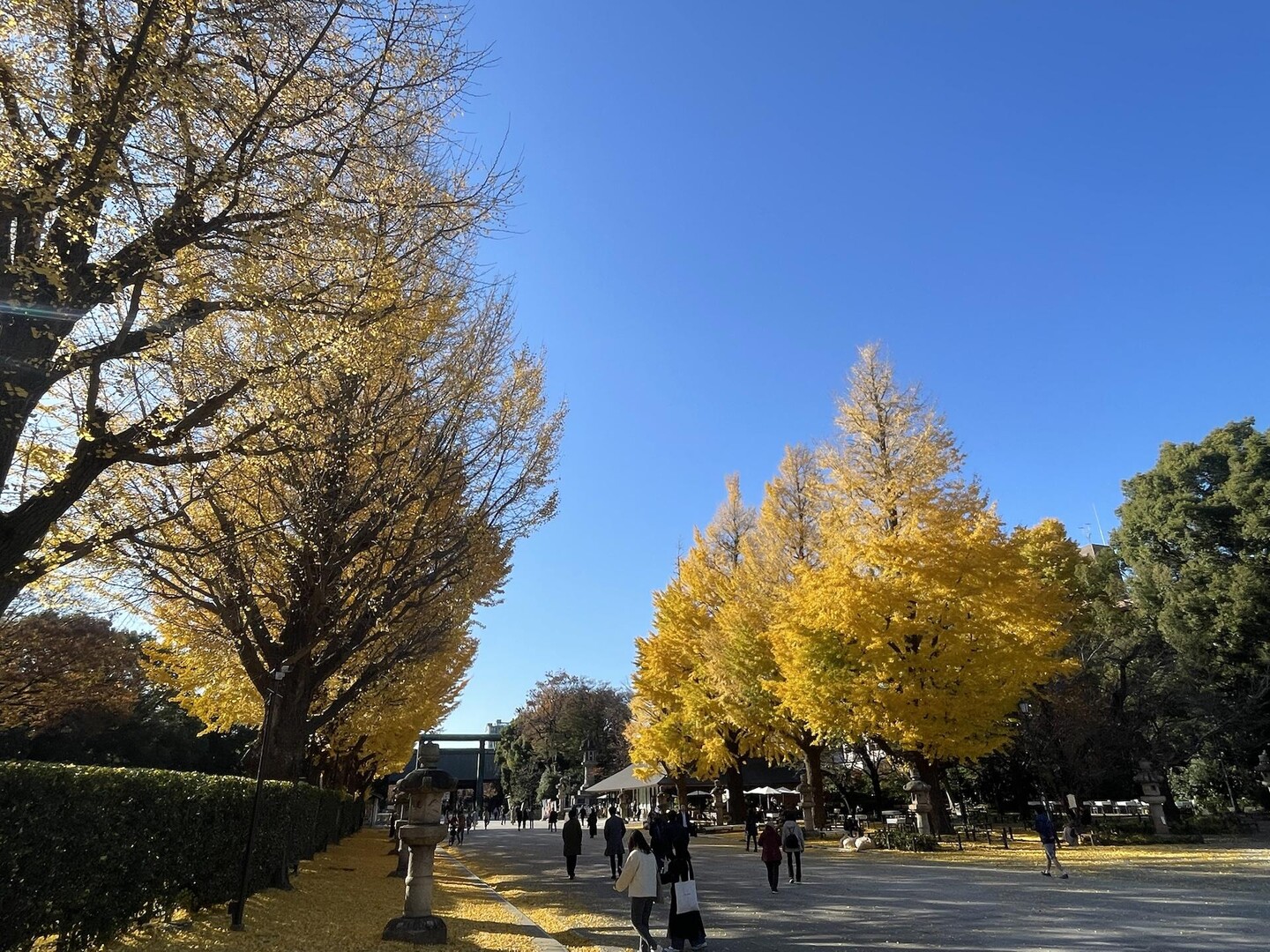 午前 在宅、午後 永田町・九段下・西新宿... / hideshanさんのモーメント | YAMAP / ヤマップ