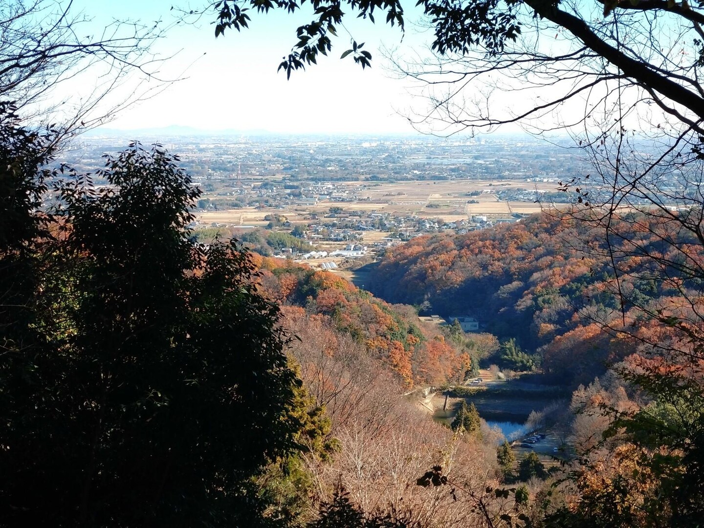 鐘撞堂山 / moneさんの宝登山・長瀞アルプス・不動山・陣見山・鐘撞堂山の活動データ | YAMAP / ヤマップ