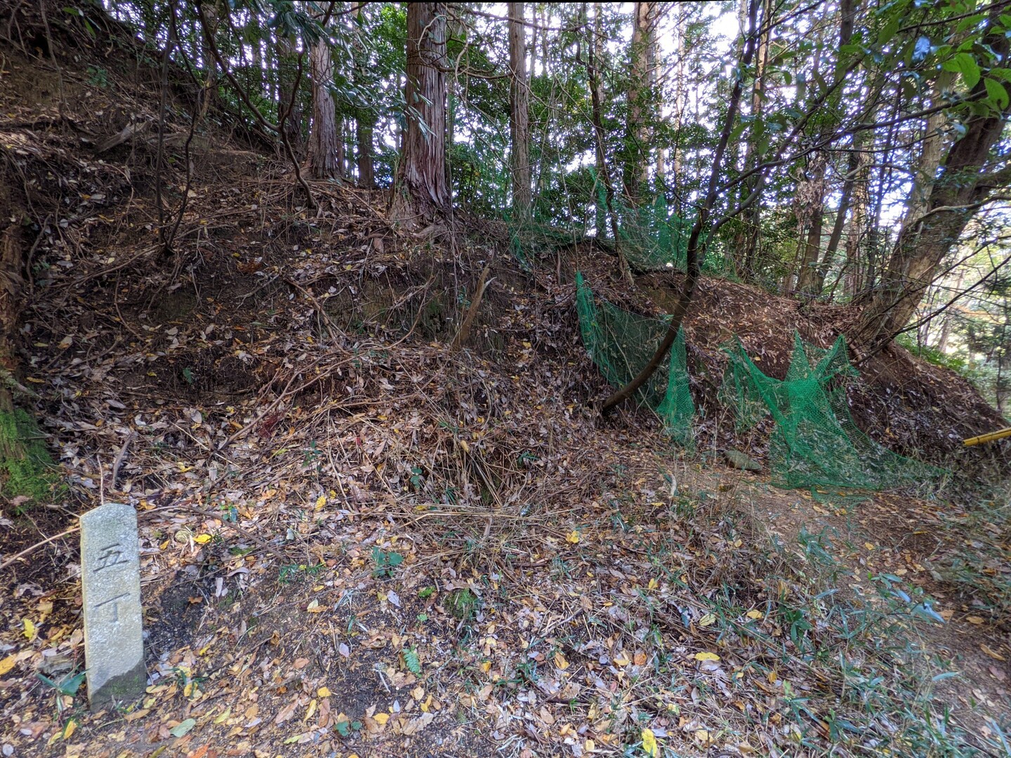 Stevenさんの投稿したフィールドメモ | YAMAP / ヤマップ