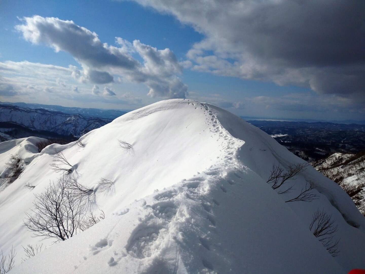 下田p645 2023-02-11 / くずや清兵衛さんの蕗山の活動データ | YAMAP / ヤマップ