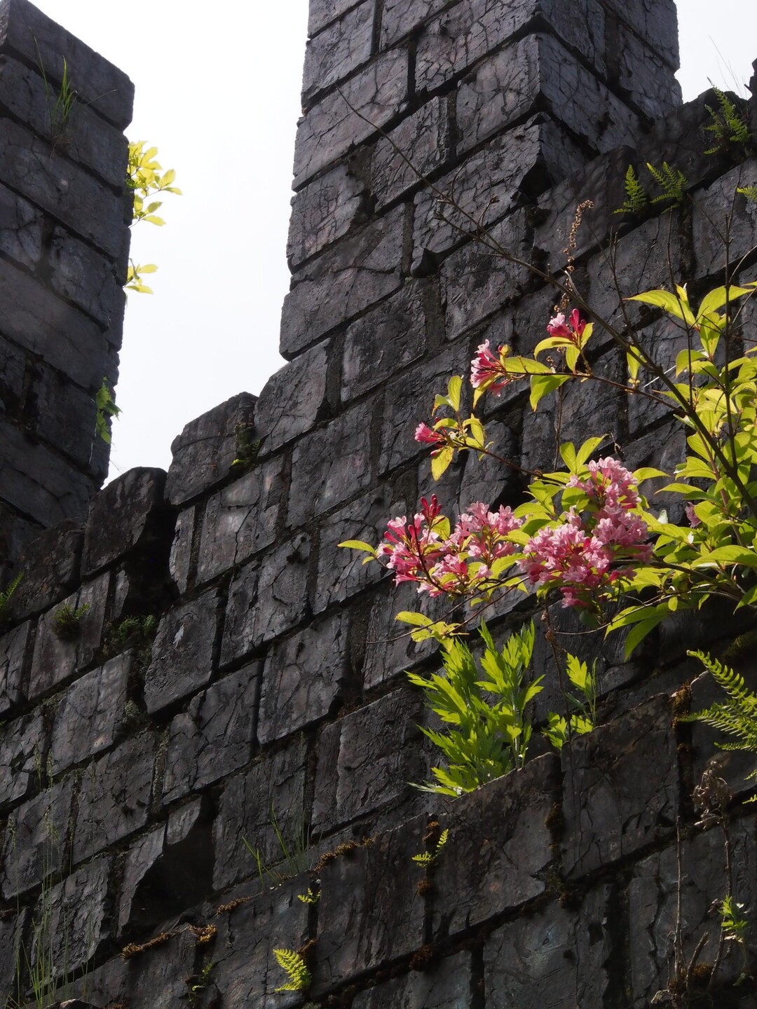持倉鉱山跡 / gk-cnさんの日本平山・鍋倉山の活動データ | YAMAP / ヤマップ