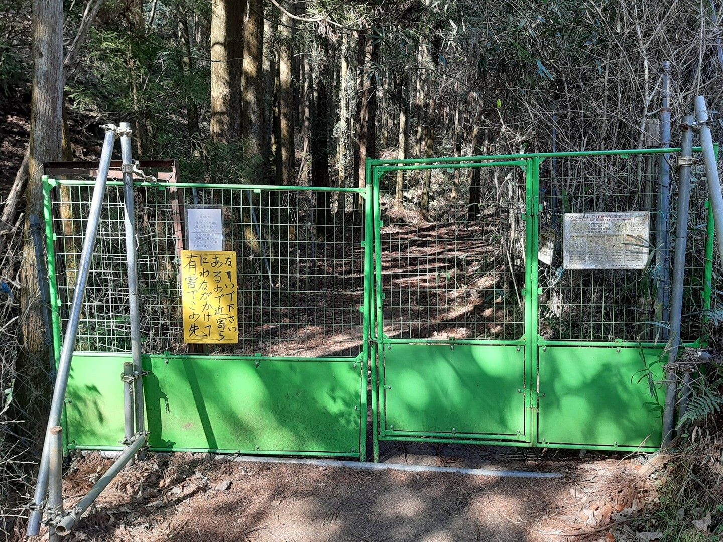 harryさんの投稿したフィールドメモ | YAMAP / ヤマップ