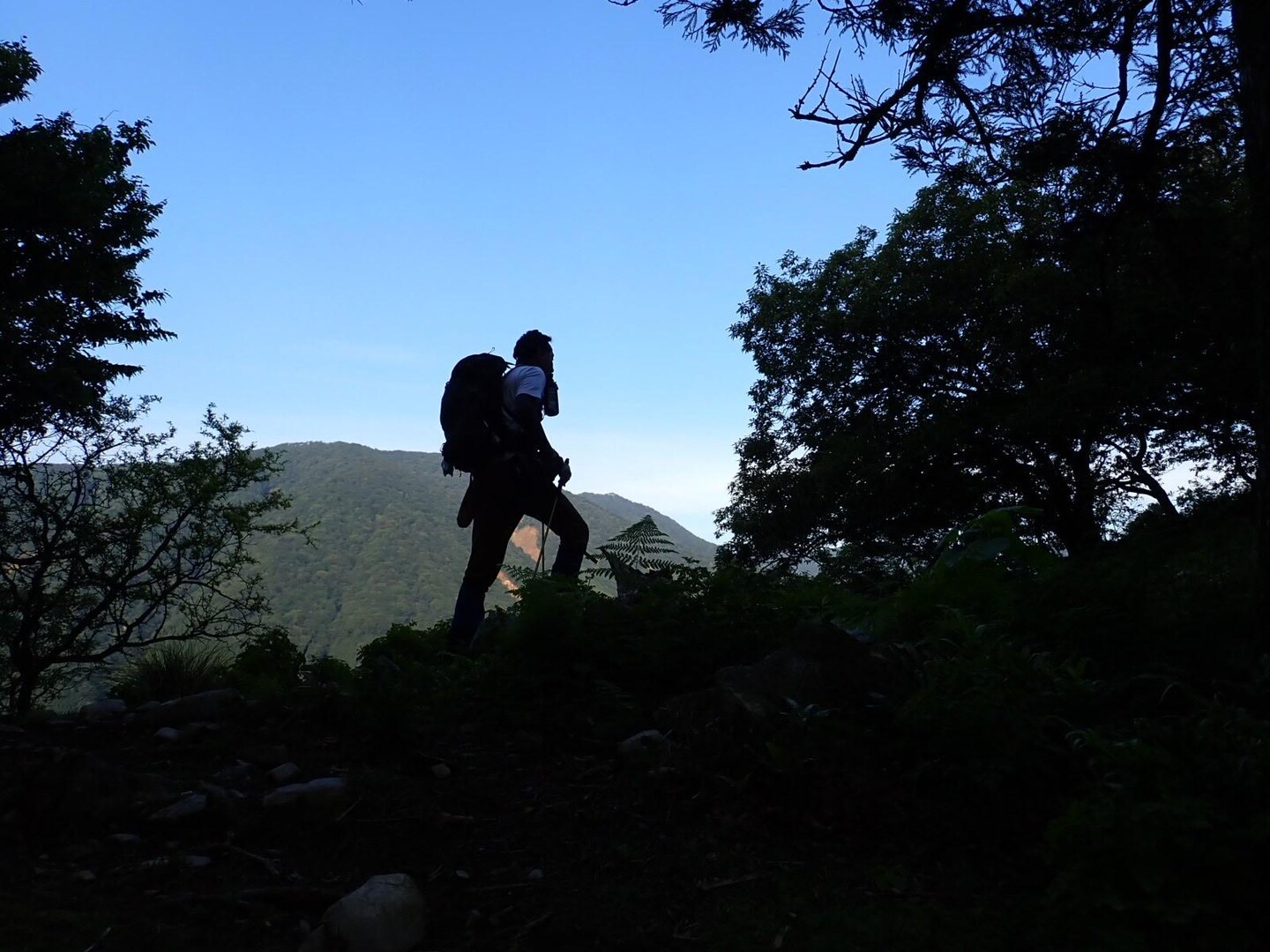 山は逃げることもある / だいみさおさんの竜ヶ岳の活動データ | YAMAP / ヤマップ