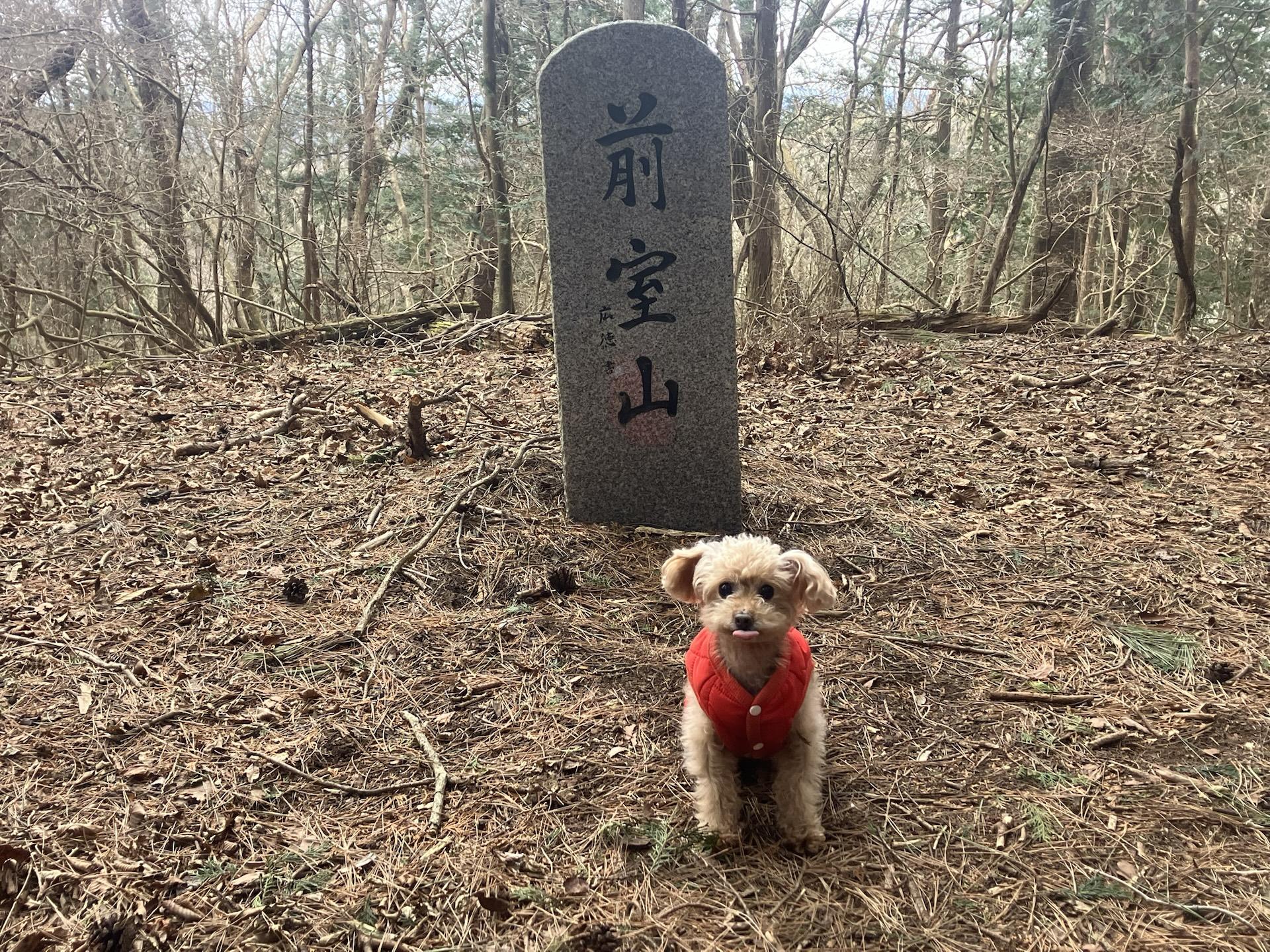 三鈷室山・妙見山・前室【茨城100】87、88、89座目 / ナオキさんの三鈷室山の活動データ | YAMAP / ヤマップ