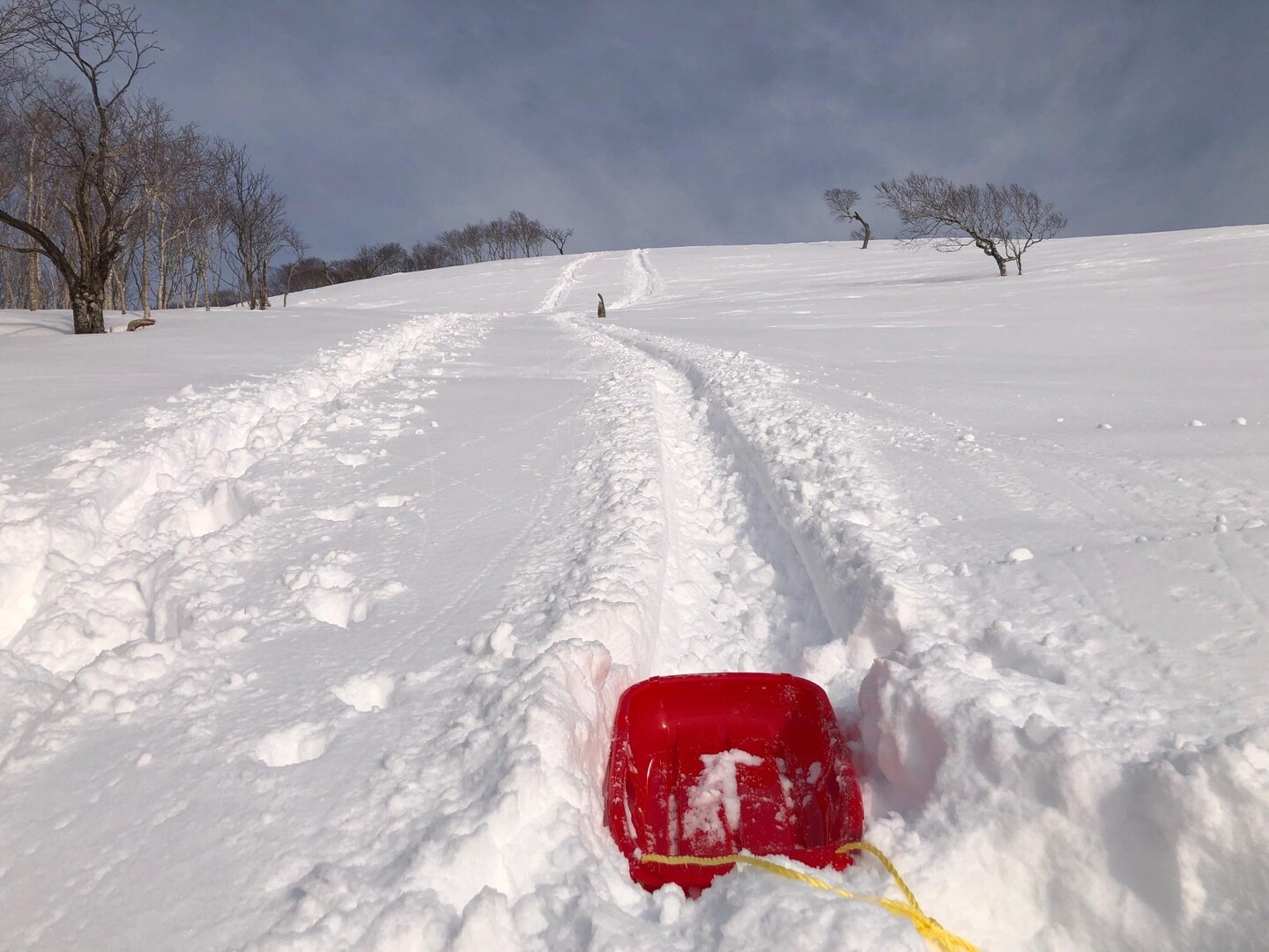 幌下山 / katuraさんの紋別岳の活動データ | YAMAP / ヤマップ