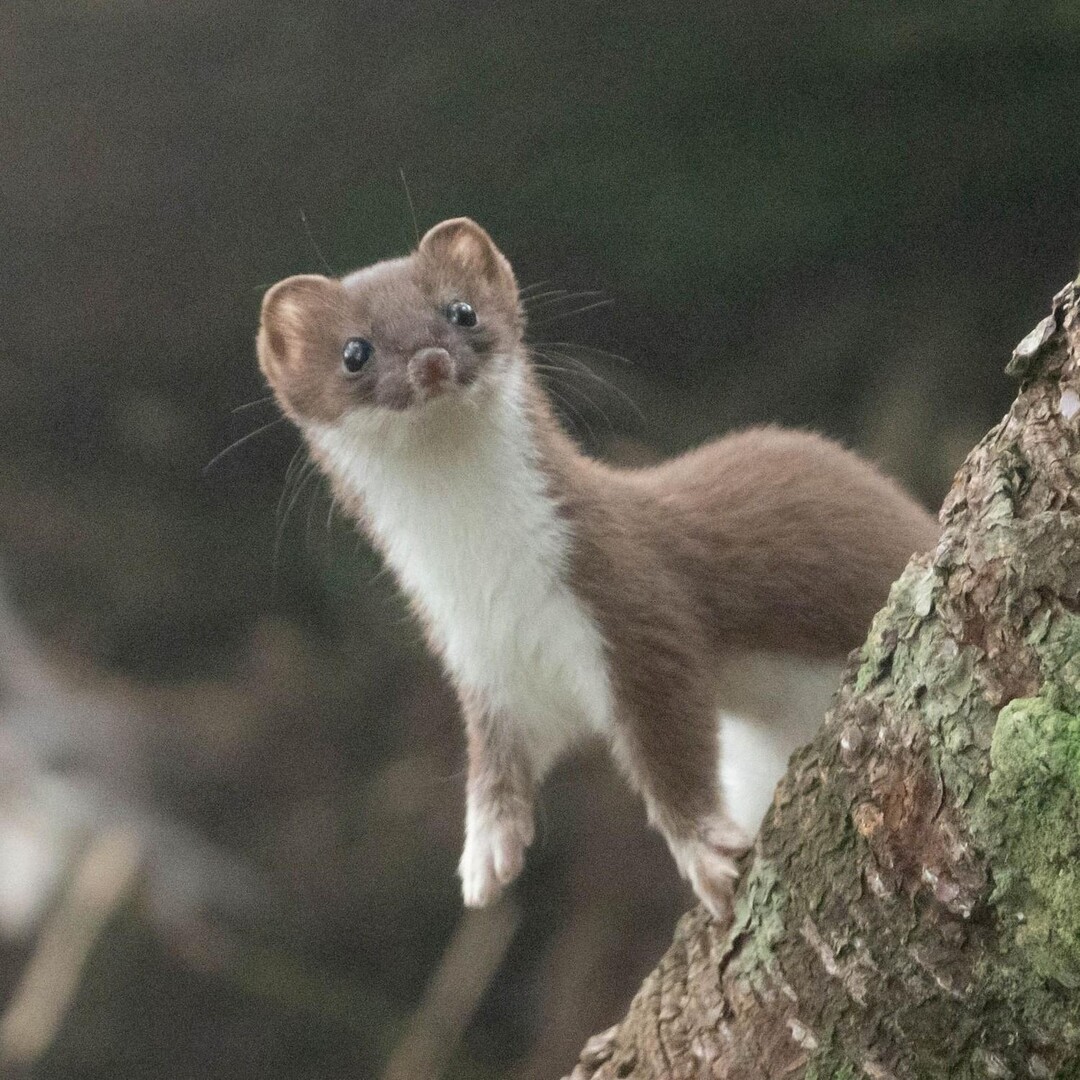 RUMIXのページ | YAMAP / ヤマップ