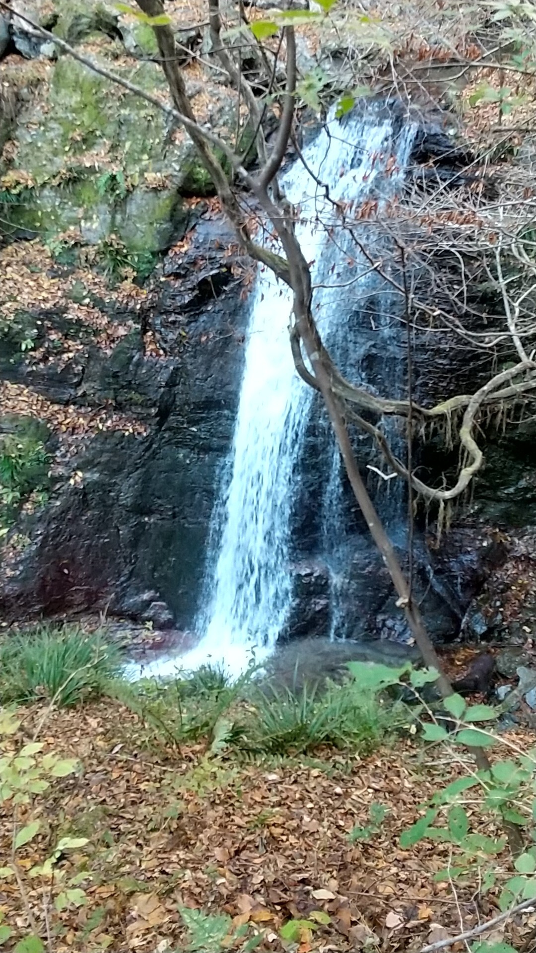 正丸駅から浦山口駅へ / kabekkeさんの武甲山・伊豆ヶ岳・小持山の活動データ | YAMAP / ヤマップ