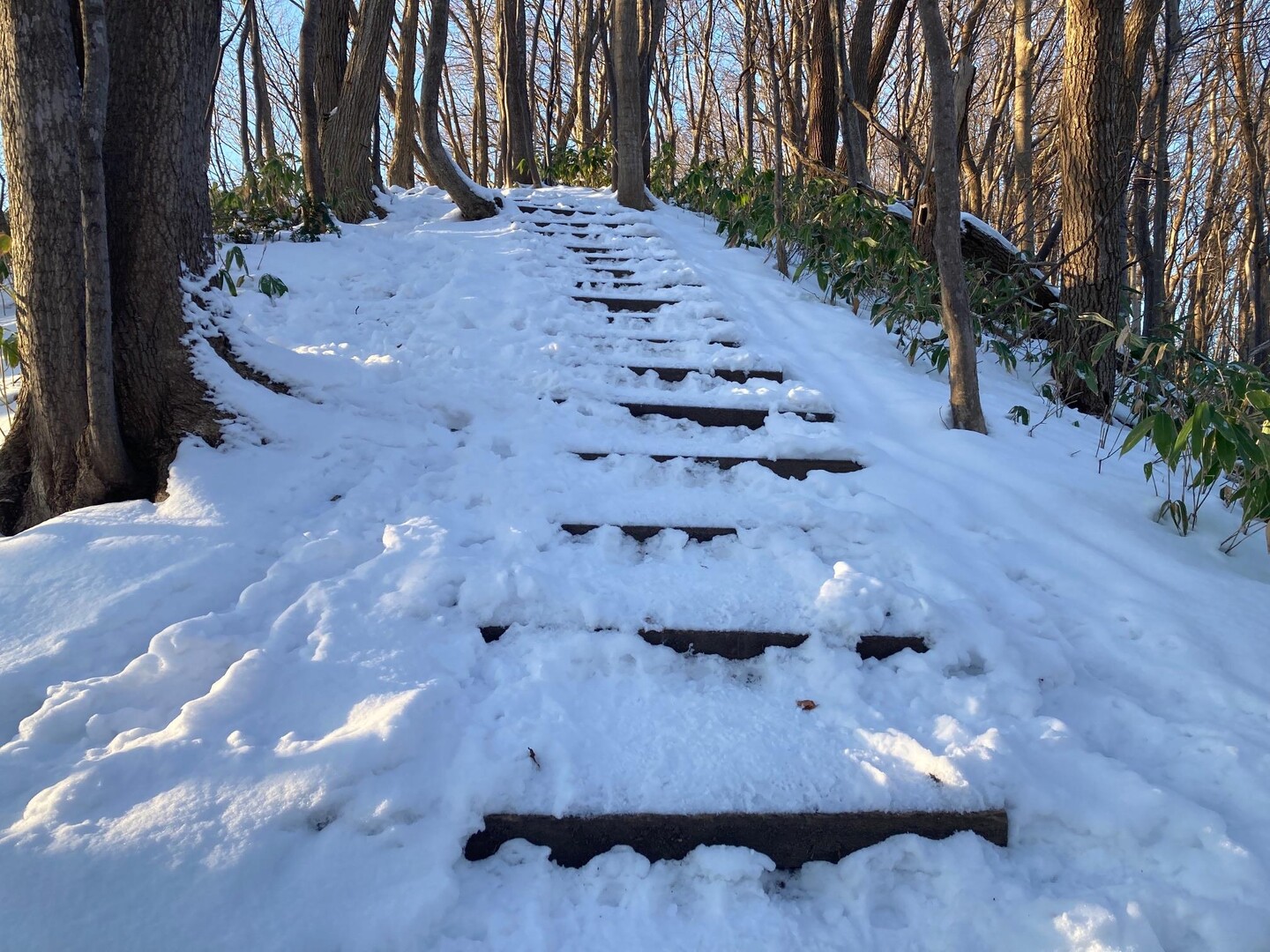 朝活藻岩山。。ただ、歩く🥾 / 2525bbさんの藻岩山の活動データ | YAMAP / ヤマップ