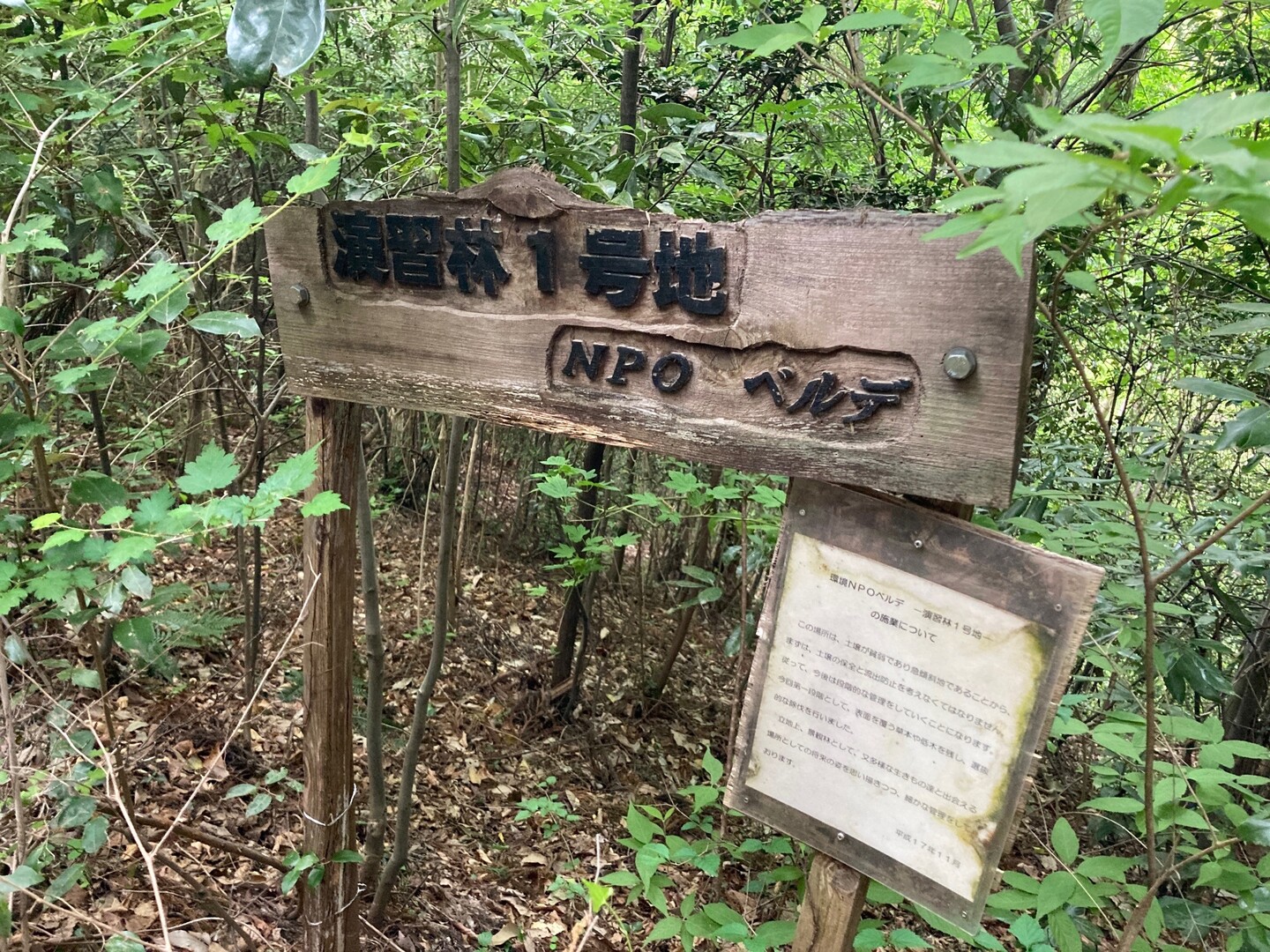 たかあいさんの投稿したフィールドメモ | YAMAP / ヤマップ