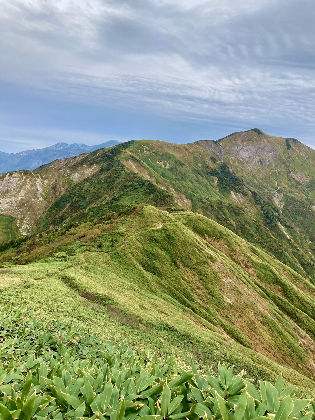 別山 上小池コース ソロ登山。 / TADY.さんの白山・別山・銚子ヶ峰の活動データ | YAMAP / ヤマップ