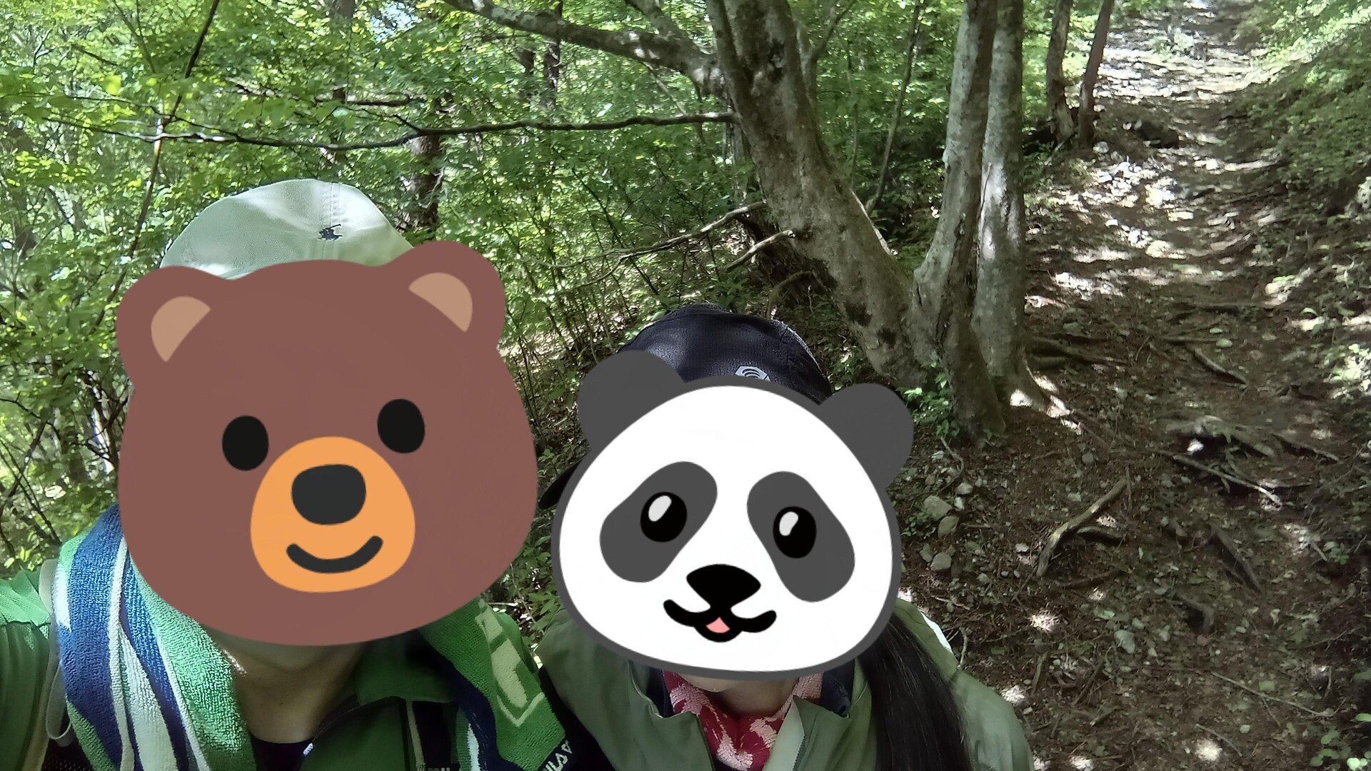 三瓶山 男三瓶半分くらい😅 / 23takaさんの三瓶山・大平山の活動データ | YAMAP / ヤマップ