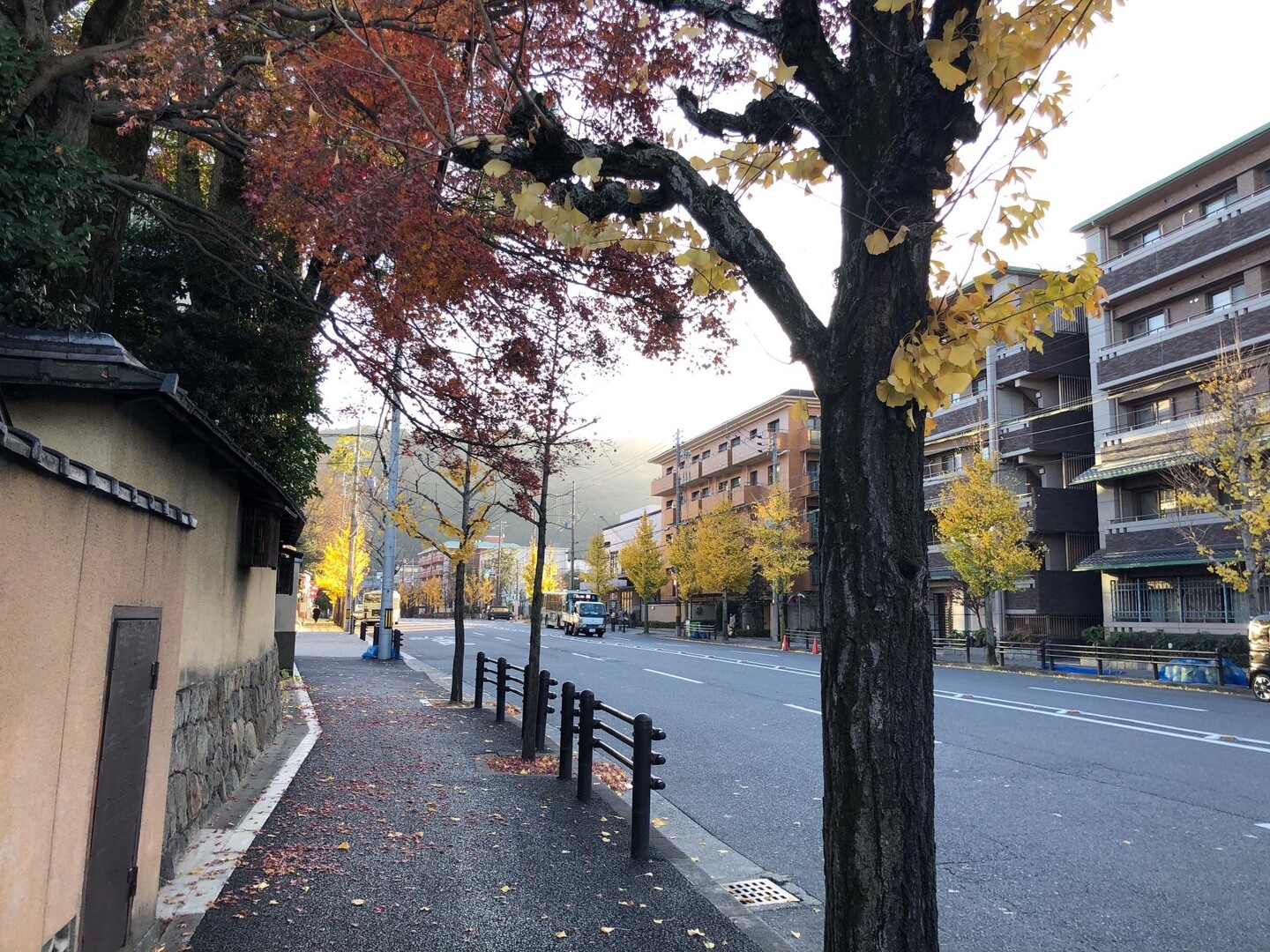 若王子山・南禅寺山・経塚山・神山・聖山・鏡山19.000歩 / 優布香(ゆうか)さんの大文字山・如意ヶ嶽・稲荷山の活動データ | YAMAP / ヤマップ