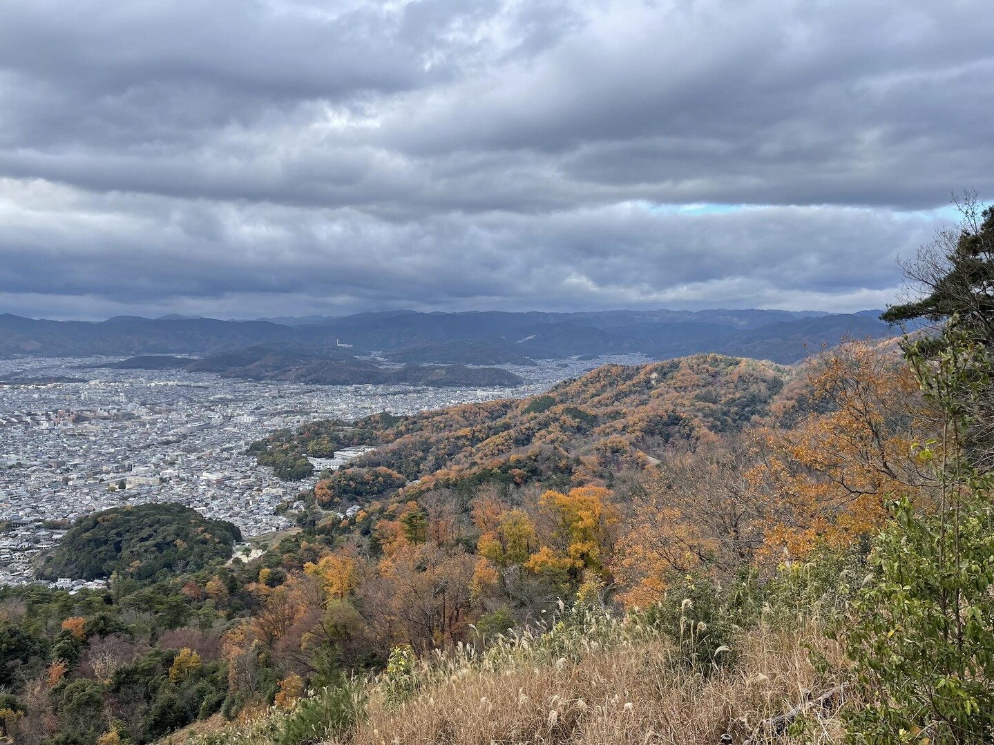大日山・大文字山・善気山・月待山 / moomin33さんの京都一周トレイルの活動日記 | YAMAP / ヤマップ