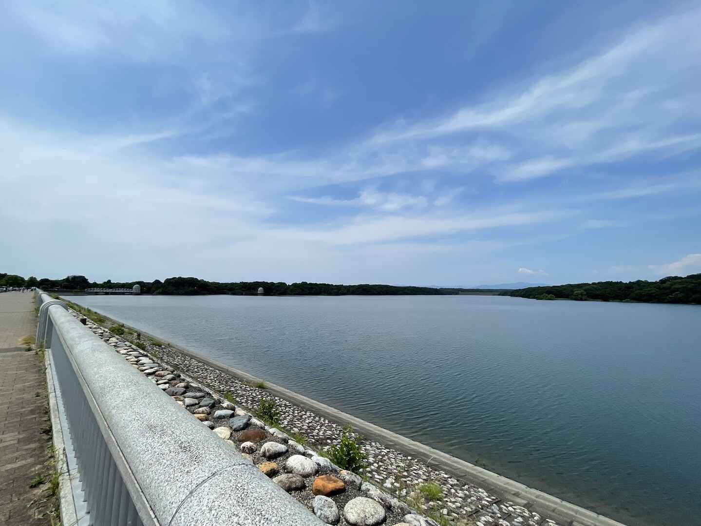 多摩湖界隈までショートライド35km。満... / yukodamaさんのモーメント | YAMAP / ヤマップ