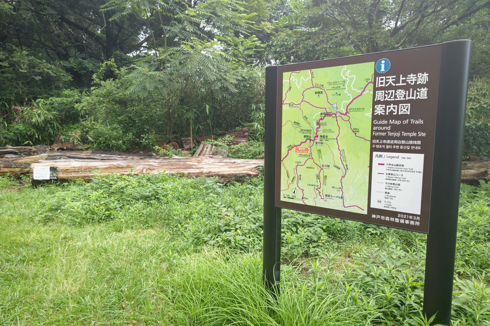 山歩クリニックin摩耶山・上野道 / chonpsさんの六甲山・長峰山・摩耶山の活動データ | YAMAP / ヤマップ