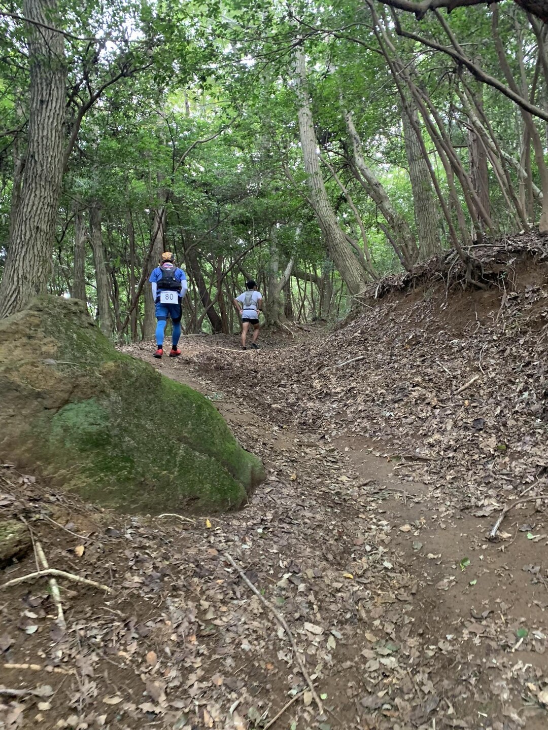 常陸国トレイルランニング / Norisanさんの雪入山・青木葉山・閑居山の活動データ | YAMAP / ヤマップ