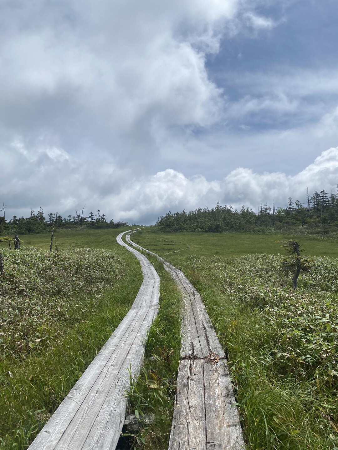 アヤメ平〜尾瀬ヶ原、小至仏山 / saoさんの尾瀬・至仏山・悪沢岳・笠ヶ岳の活動データ | YAMAP / ヤマップ