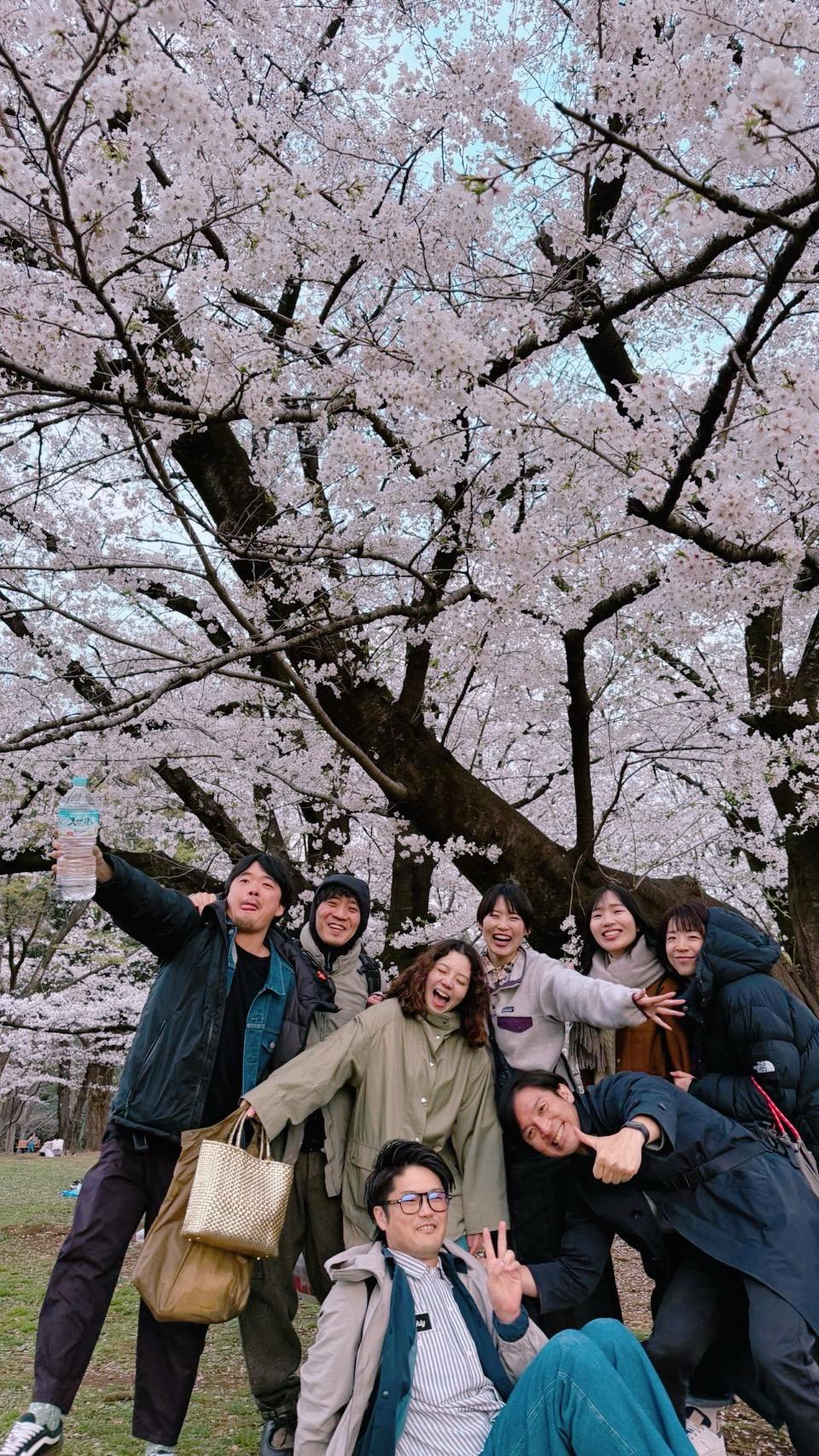 飲みにしか行ってない山ともww 花見@Y... / りなさんのモーメント | YAMAP / ヤマップ
