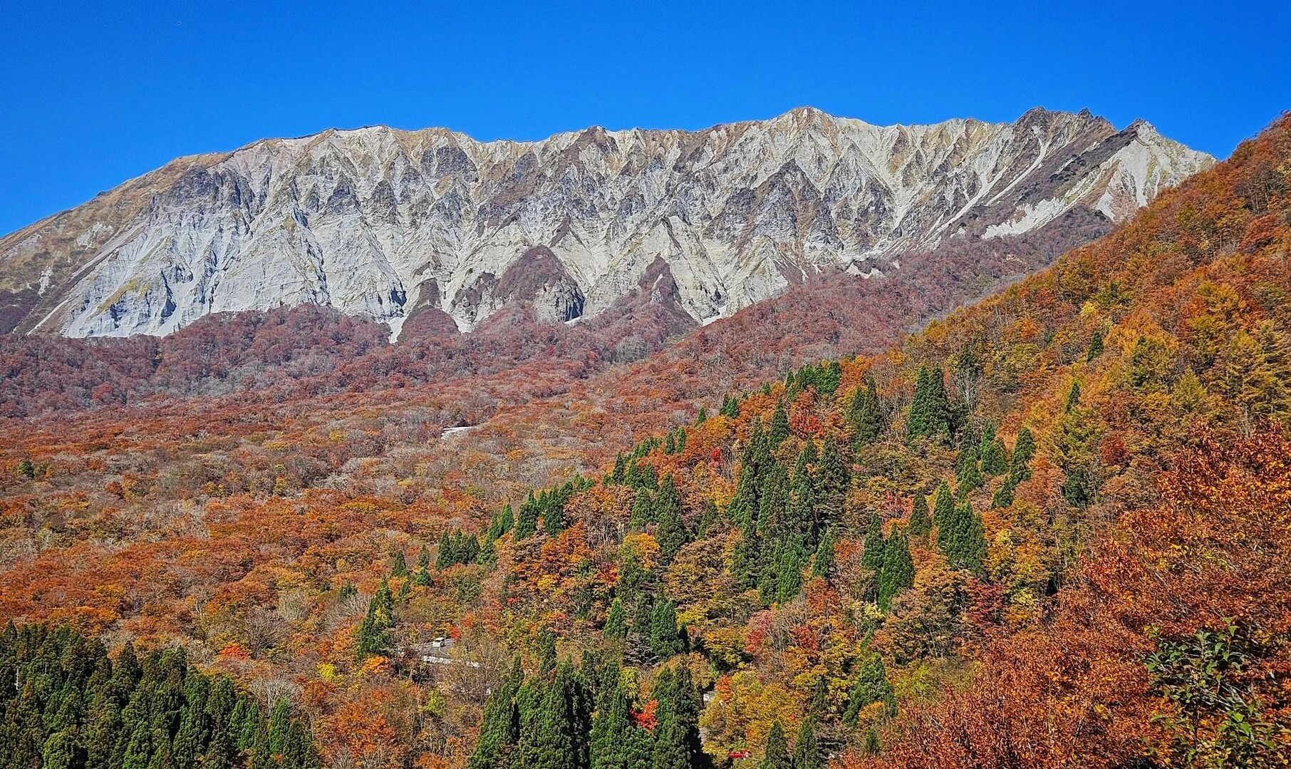 大山周遊紅葉狩り🍁2023-11-02、03 / kawaさんのハイキングの活動データ | YAMAP / ヤマップ