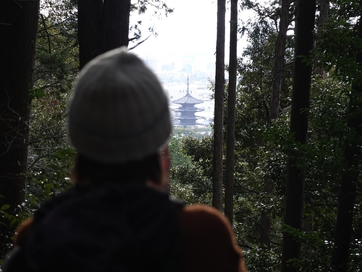 京都一周トレイル〈東山ルート②〉 / NAOZOさんの京都一周トレイルの活動データ | YAMAP / ヤマップ