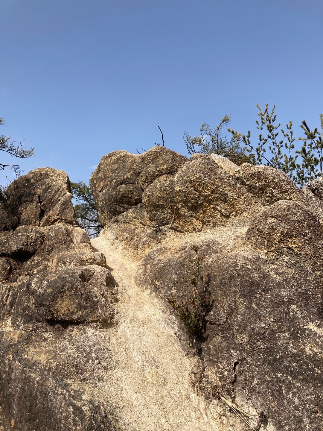 broncoさんの投稿したフィールドメモ | YAMAP / ヤマップ