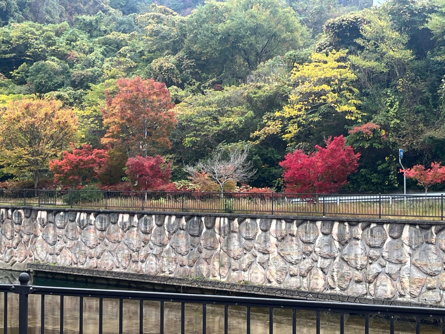 星田連山 2回目 / mamoさんの交野山・国見山の活動データ | YAMAP / ヤマップ