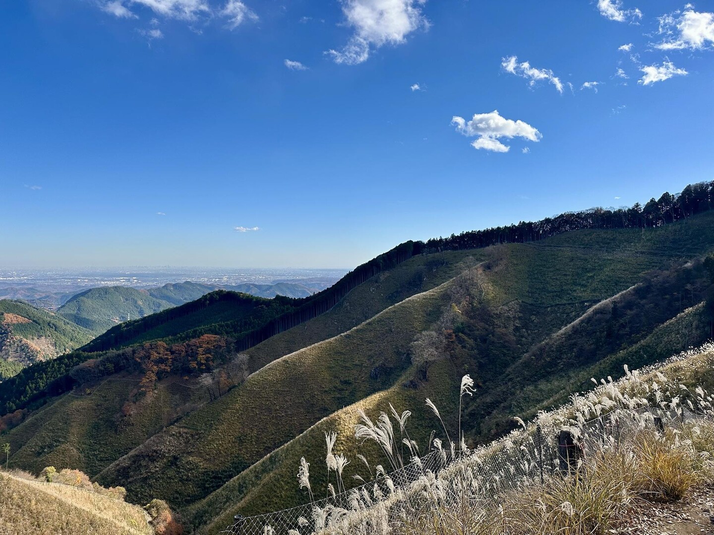 尋常【高水三山】 / 佐坊 芯太郎(Shintaro Sabo)さんの高水山・岩茸石山・惣岳山の活動データ | YAMAP / ヤマップ