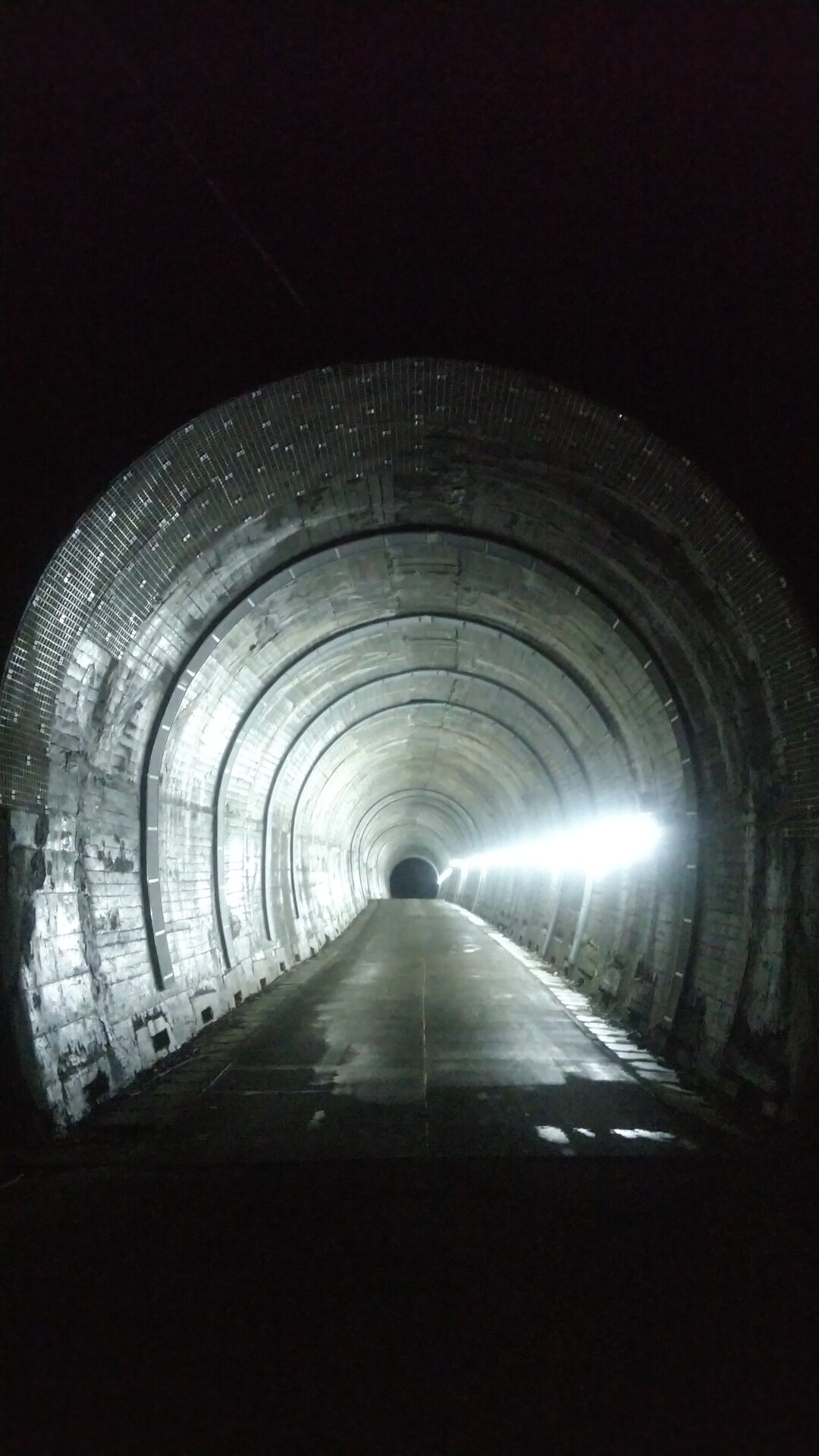 着きました。 / Mitz@さんのモーメント | YAMAP / ヤマップ