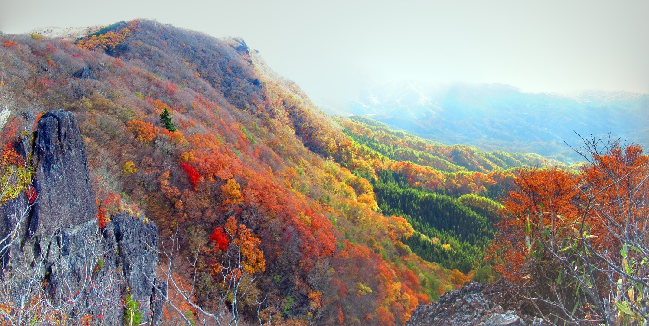 霊山(湧き水ルート) / y_kumataさんの霊山の活動データ | YAMAP / ヤマップ