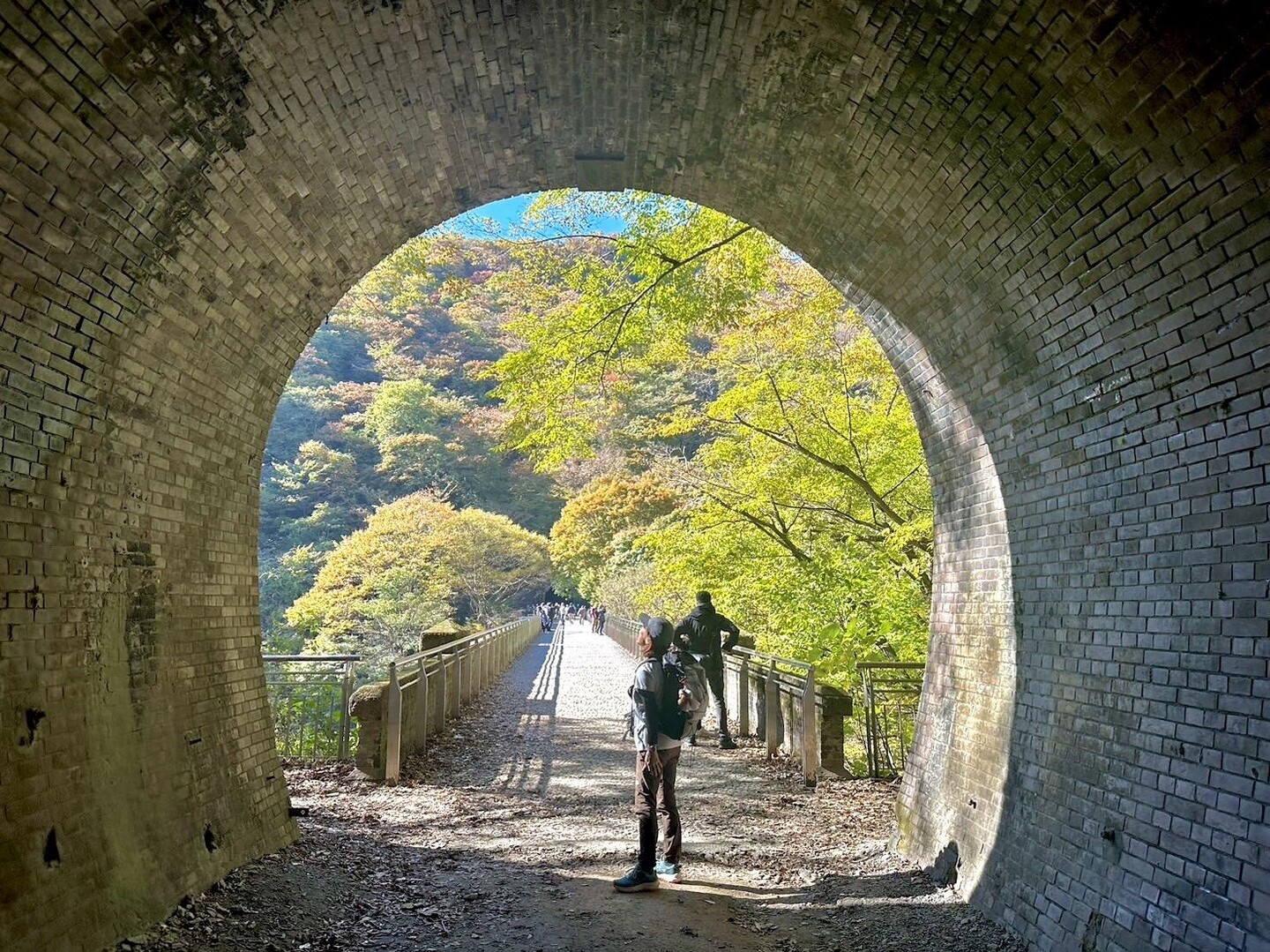 光溢れ アプトの道 / kumiさんの中山道（松井田宿・坂本宿・軽井沢宿）の活動データ | YAMAP / ヤマップ