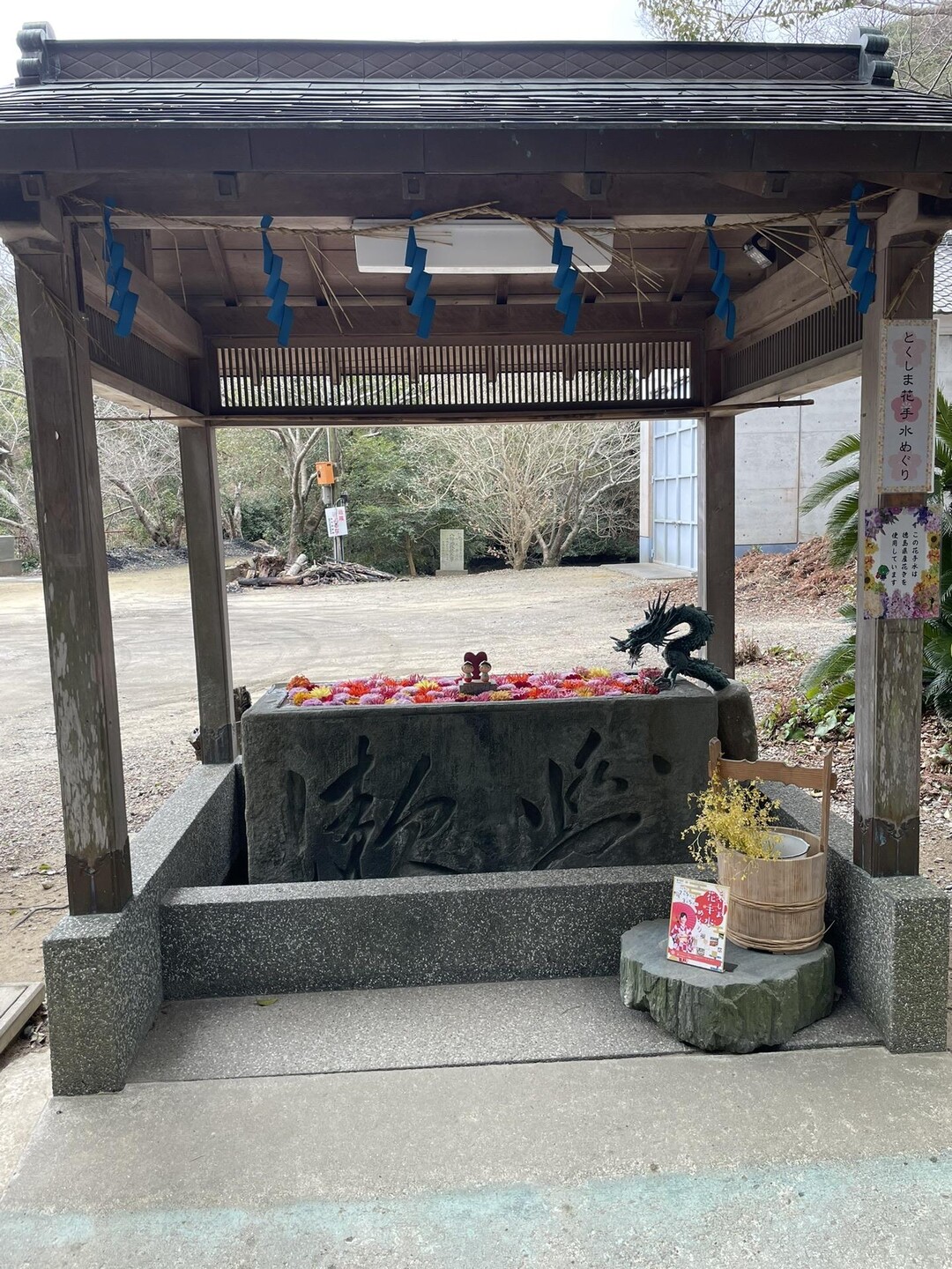 今朝の徳島新聞折り込みに 徳島花手水め... / ☆taemon☆さんのモーメント | YAMAP / ヤマップ