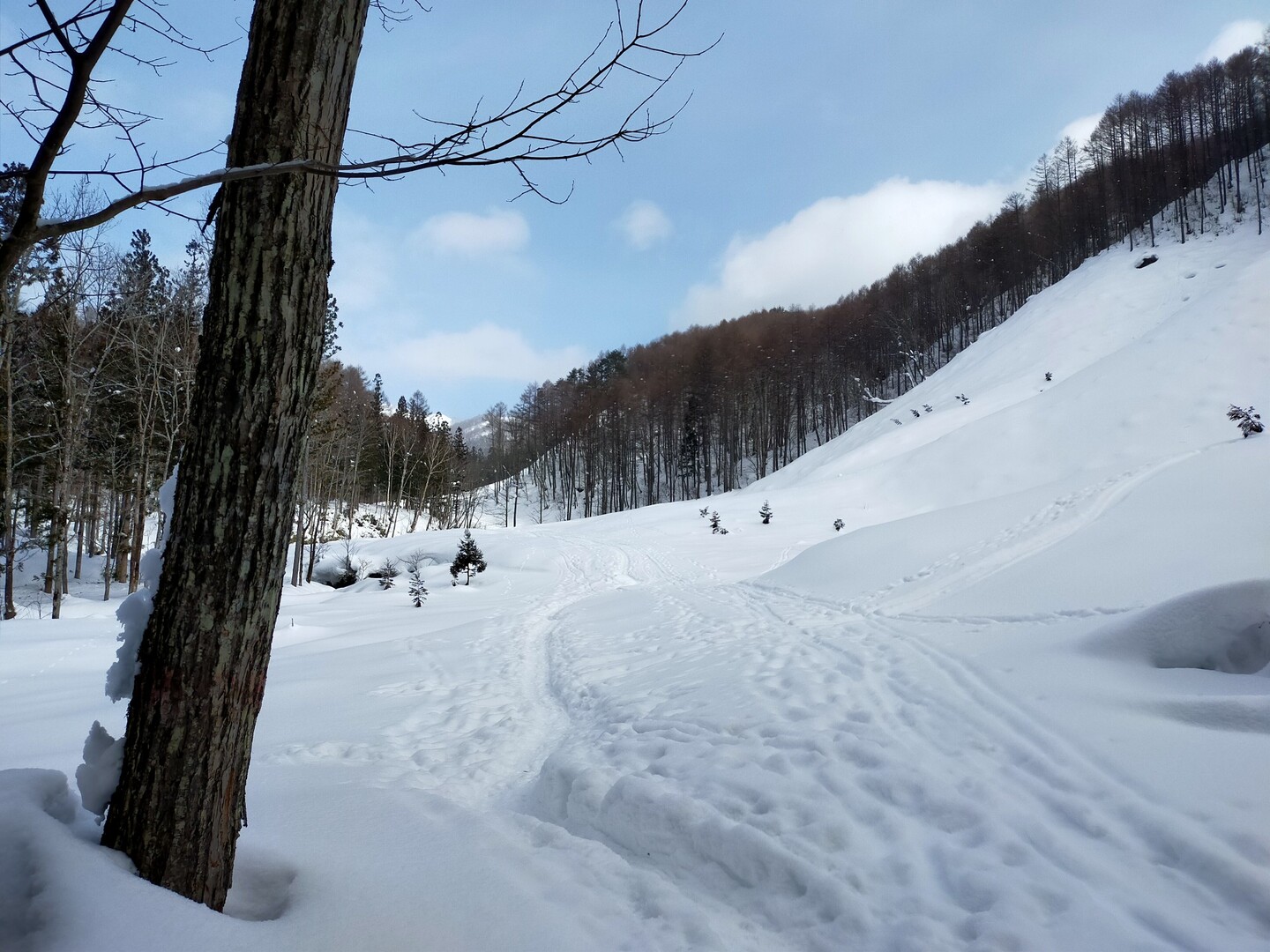 一ヶ月ぶりの登山。猪臥山へ / SUMさんの猪臥山の活動日記 | YAMAP / ヤマップ