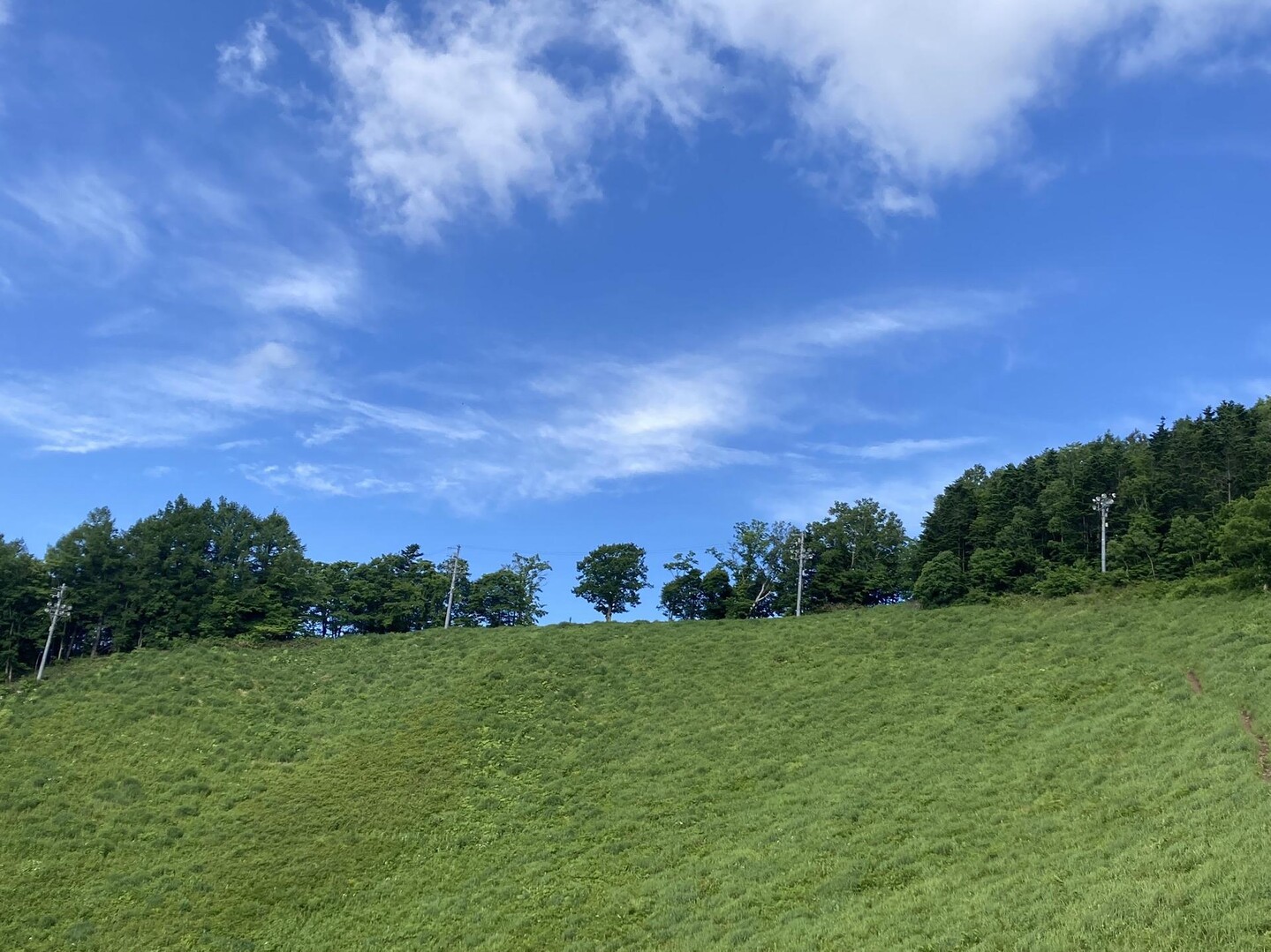 昼迄藻岩山 / 2525さんの藻岩山の活動データ | YAMAP / ヤマップ