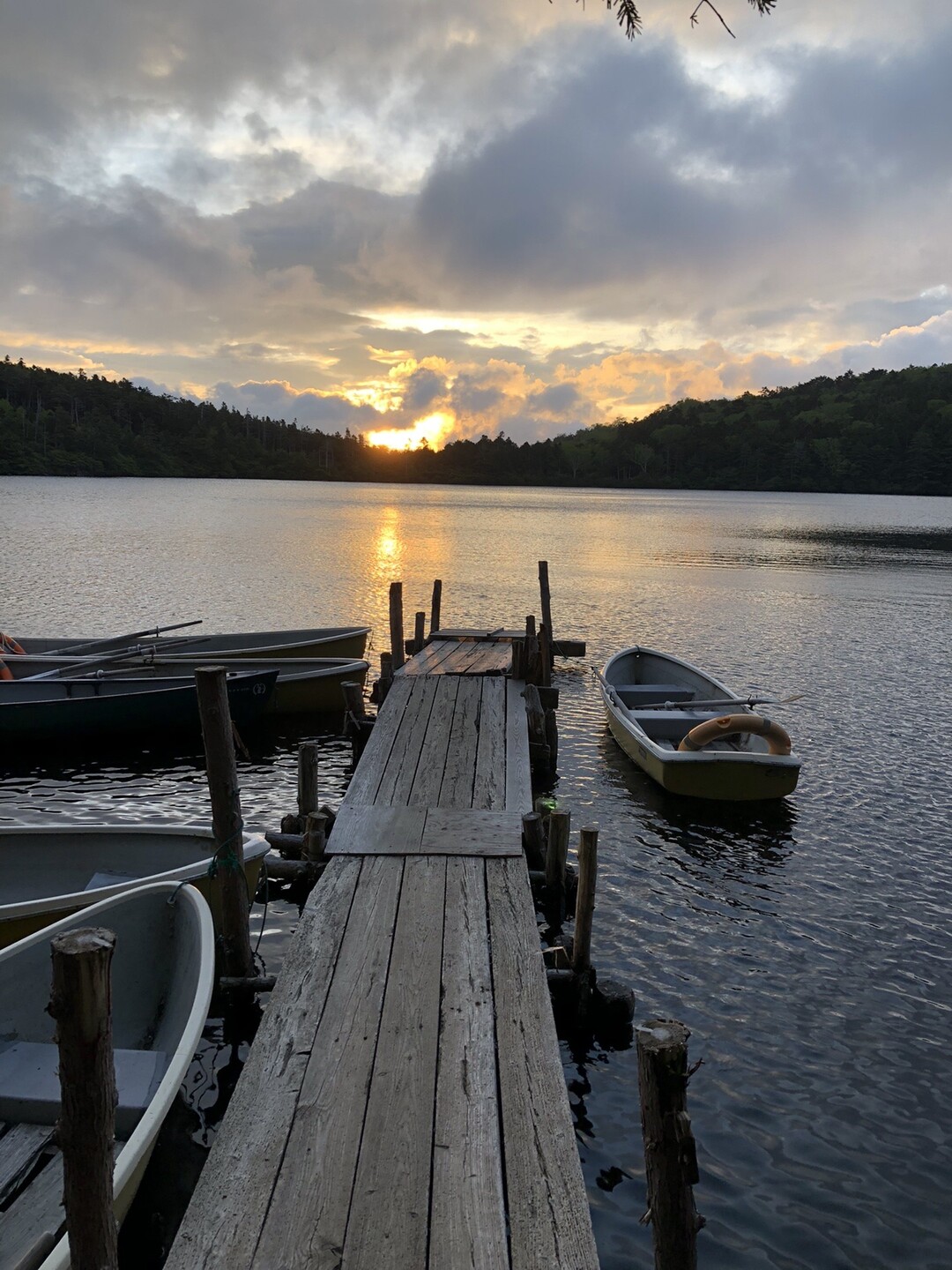 ニュウ / dorry さんの八ヶ岳（赤岳・硫黄岳・天狗岳）の活動データ | YAMAP / ヤマップ