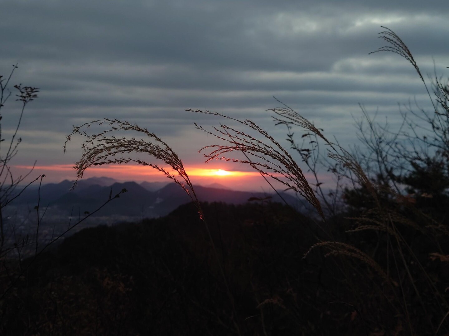 権現山・百々ヶ峰〜蠢く欲望〜 / marzさんの百々ヶ峰・源太峰の活動データ | YAMAP / ヤマップ