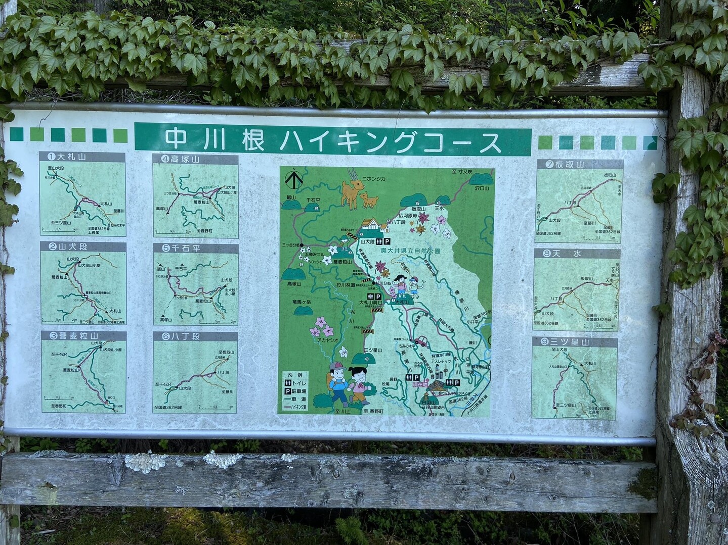 大札山 / Toshi Oikawa さんの大札山・三星山・白羽山の活動データ | YAMAP / ヤマップ