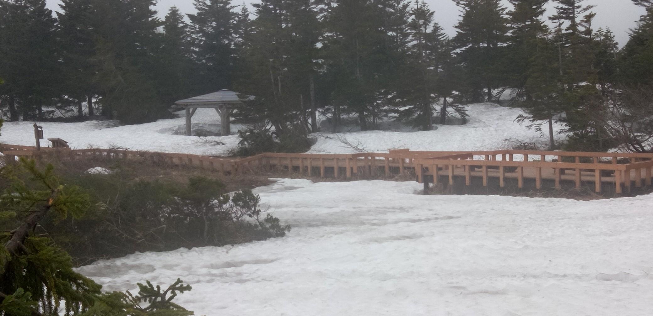 硫黄岳 / katuさんの八甲田山・高田大岳・雛岳の活動データ | YAMAP / ヤマップ