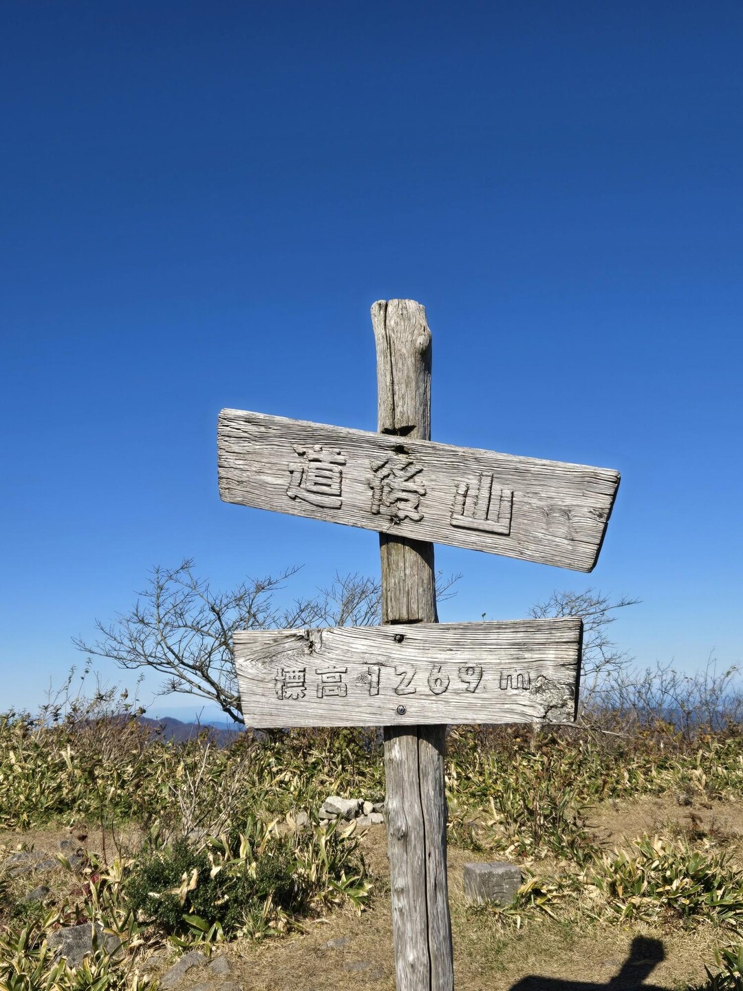 道後山・岩樋山(いわひやま) / Amiババ さんの道後山・岩樋山の活動データ | YAMAP / ヤマップ