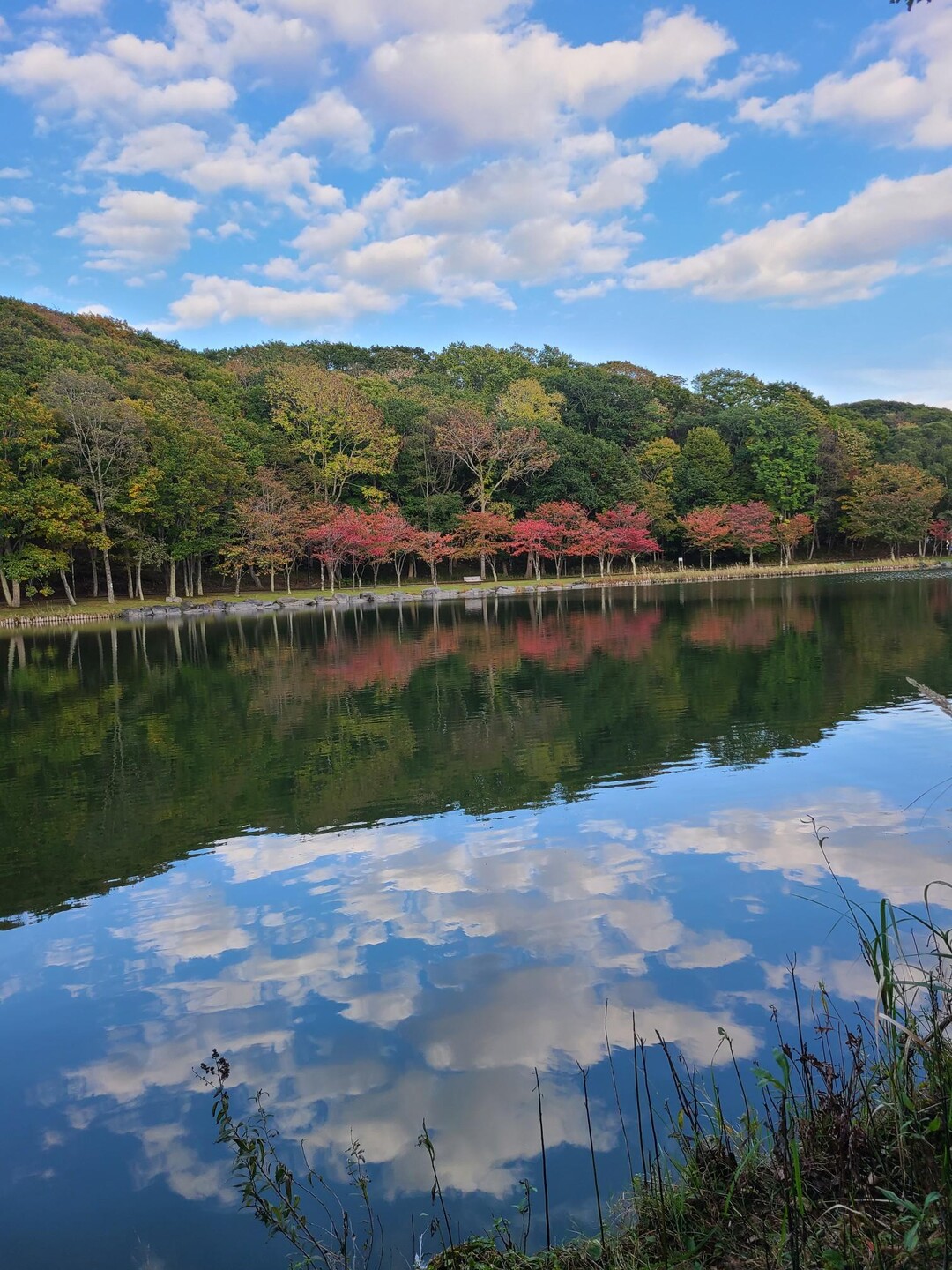 朝活☀️&金太郎池ウォーキング🐕-2022-10-12 / Mr.Masaさんのウォーキングの活動データ | YAMAP / ヤマップ