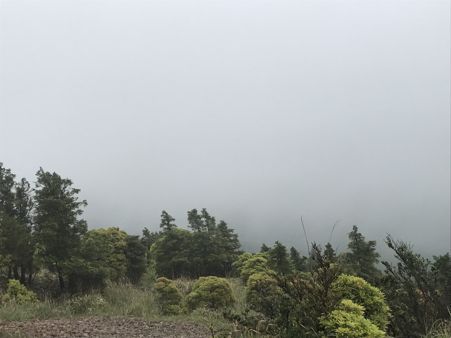 2022.05.22(日) 08:05 / コウちゃんさんのモーメント | YAMAP / ヤマップ