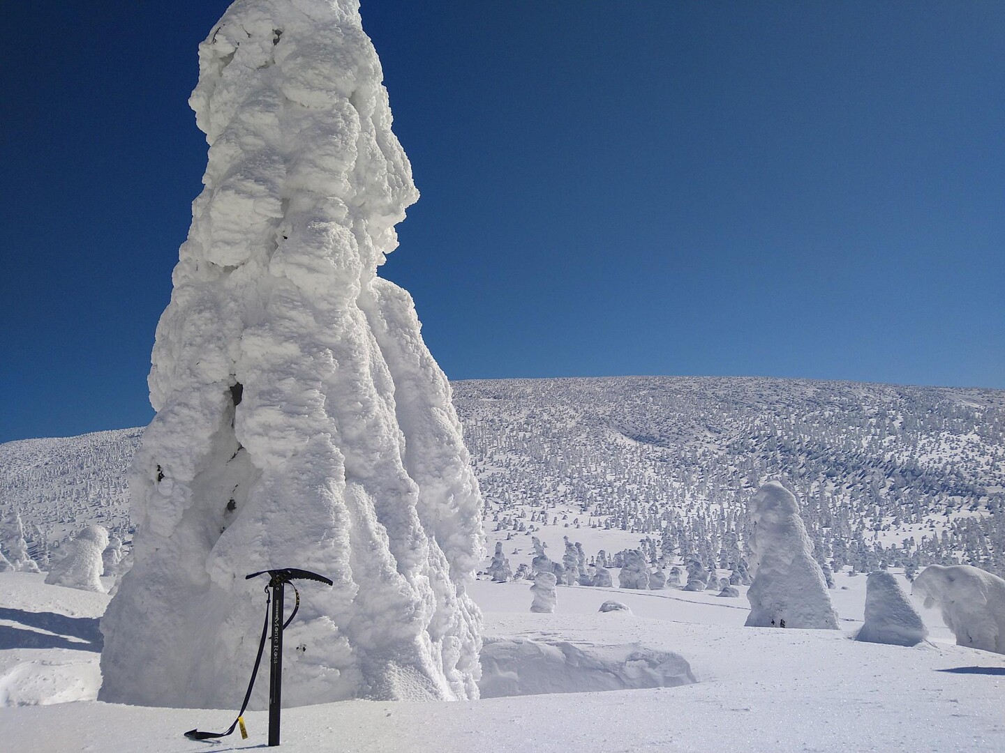 蔵王連峰 南蔵王縦走 刈田岳/屏風岳（澄川スノーパークから） / ao_hachiさんの蔵王山・雁戸山・不忘山の活動データ | YAMAP / ヤマップ
