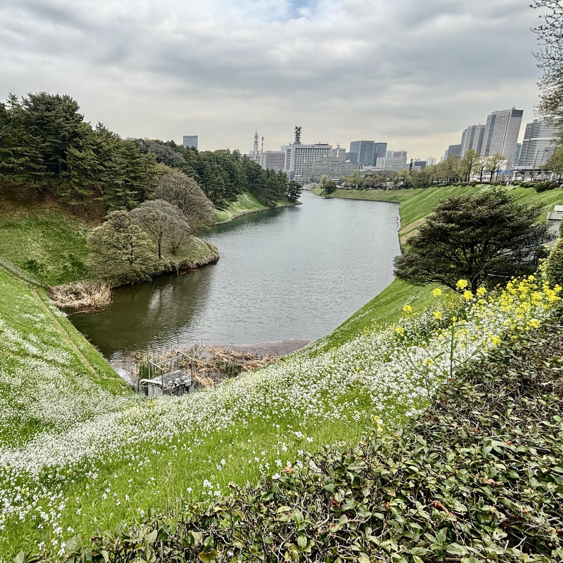 皇居RUNと鹿狼たん 8 / しんさんの鹿狼山の活動データ | YAMAP / ヤマップ