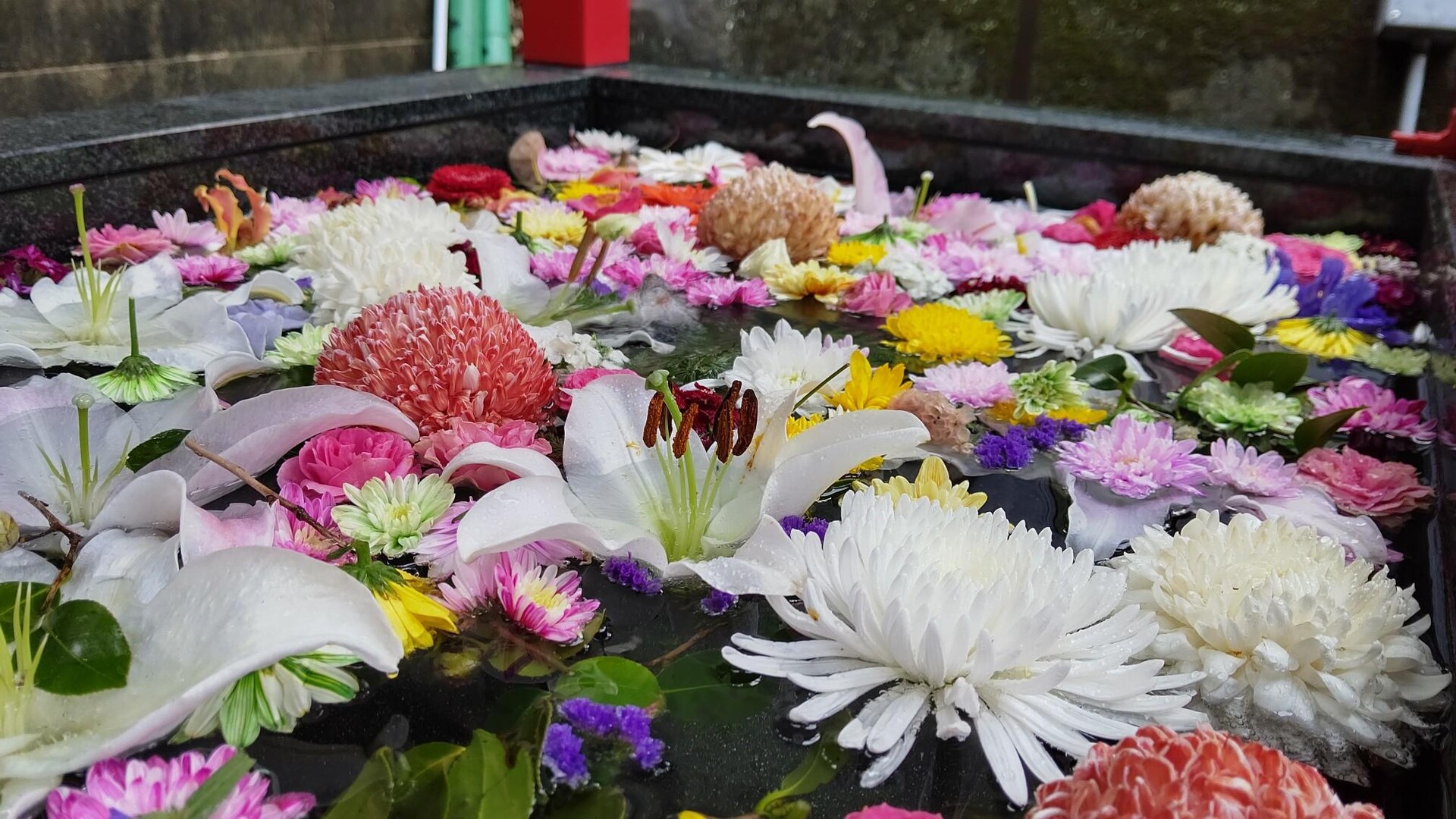 3😆愛宕山・丸隈山・中隈山 / megさんの能古島の活動データ | YAMAP / ヤマップ