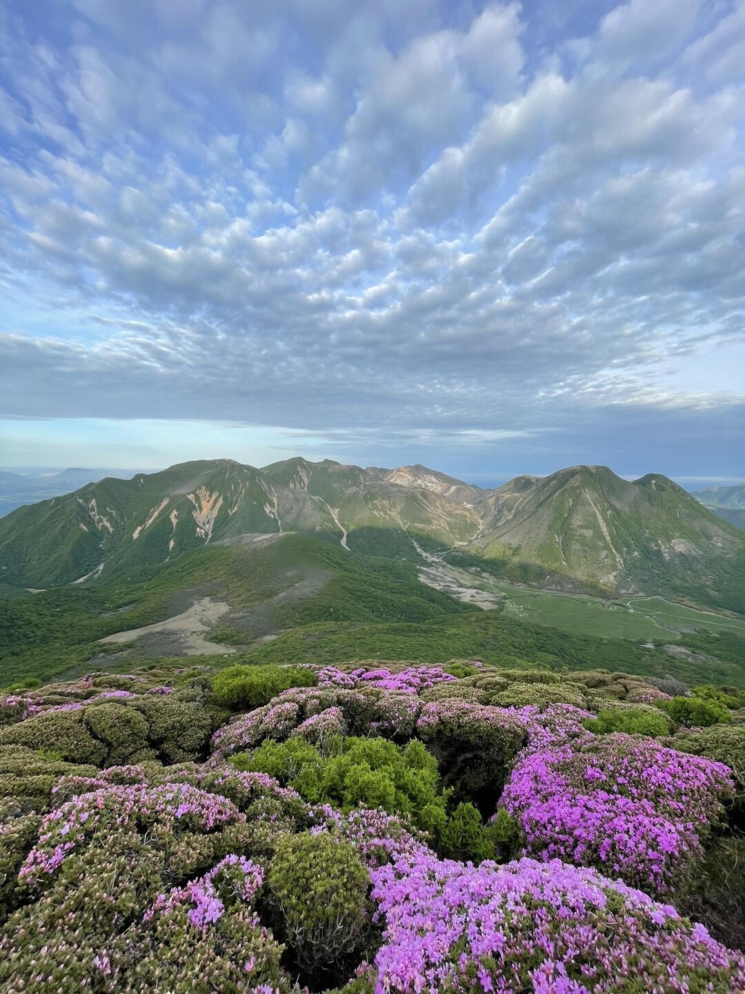 久住山 初テン泊！ / Sho-Taさんの九重山（久住山）・大船山・星生山の活動データ | YAMAP / ヤマップ