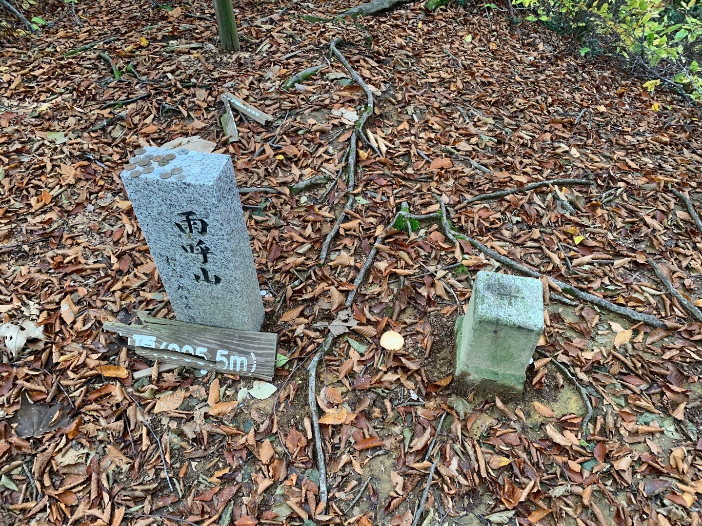 面白山・神室岳-2019-10-24 / ga -koさんの面白山・神室岳・大東岳・雨呼山の活動データ | YAMAP / ヤマップ