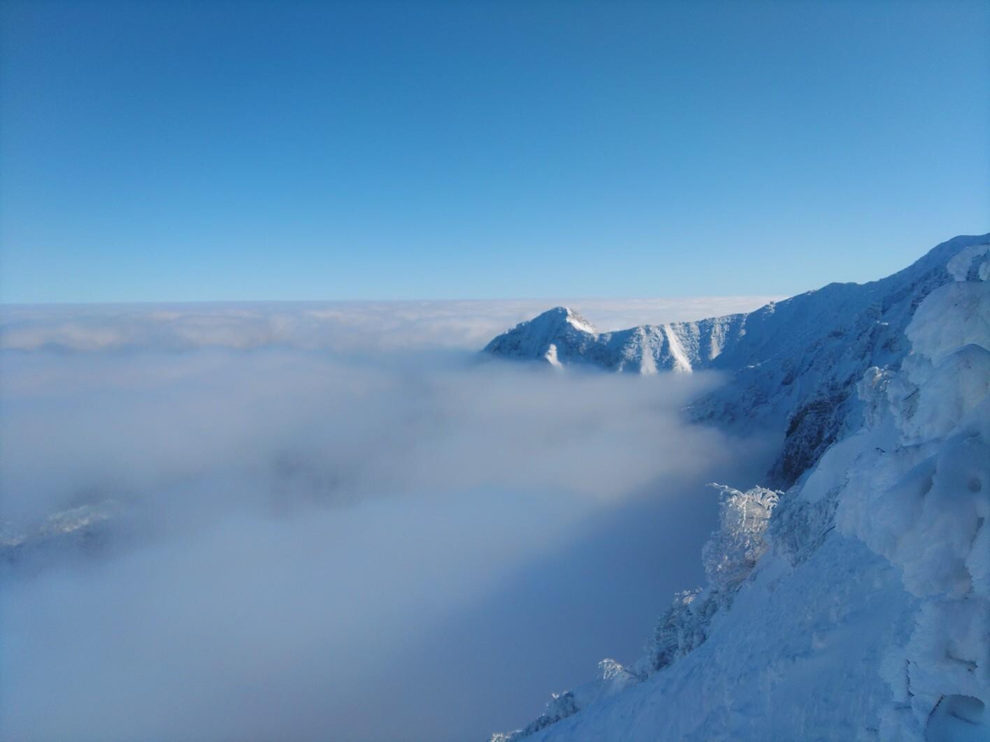 弥山尾根西陵(冬季遠征4) / isoやんさんの大山・甲ヶ山・野田ヶ山の活動データ | YAMAP / ヤマップ