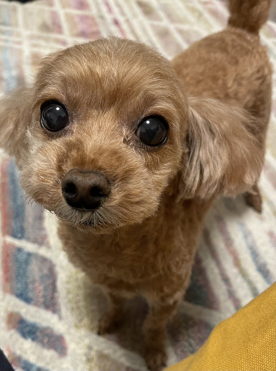 Meiのページ | YAMAP / ヤマップ