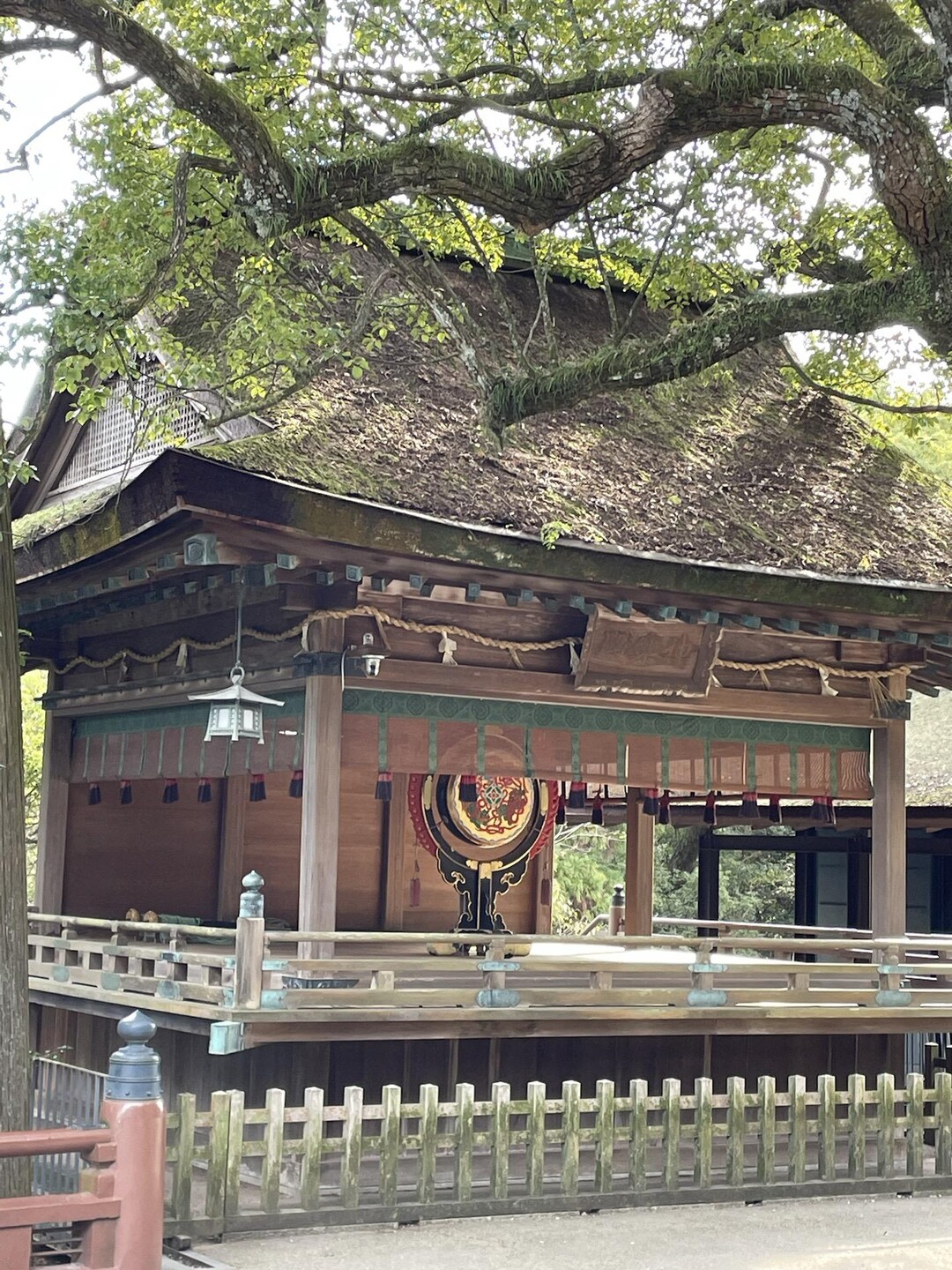 こんぴらさん 〜 五色台へ‥ / Rei.hさんの大麻山・象頭山・琴平山の活動データ | YAMAP / ヤマップ