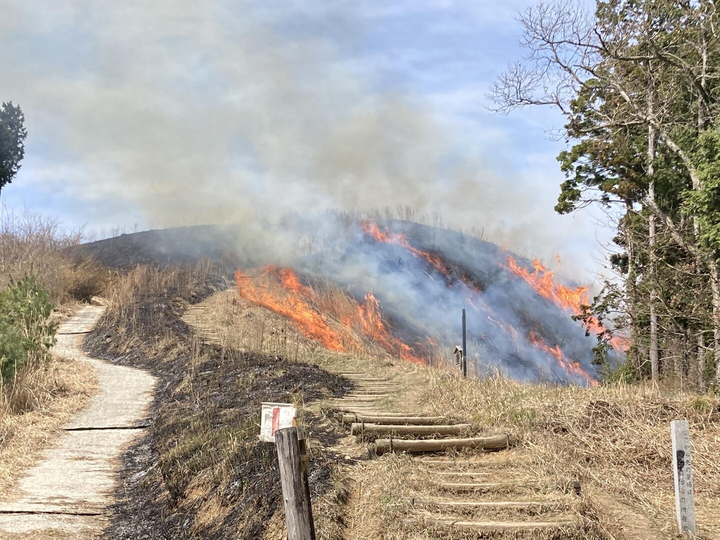 ダイトレ#3（紀見峠→槇尾山） / Sagittariusさんの金剛山・二上山・大和葛城山の活動データ | YAMAP / ヤマップ