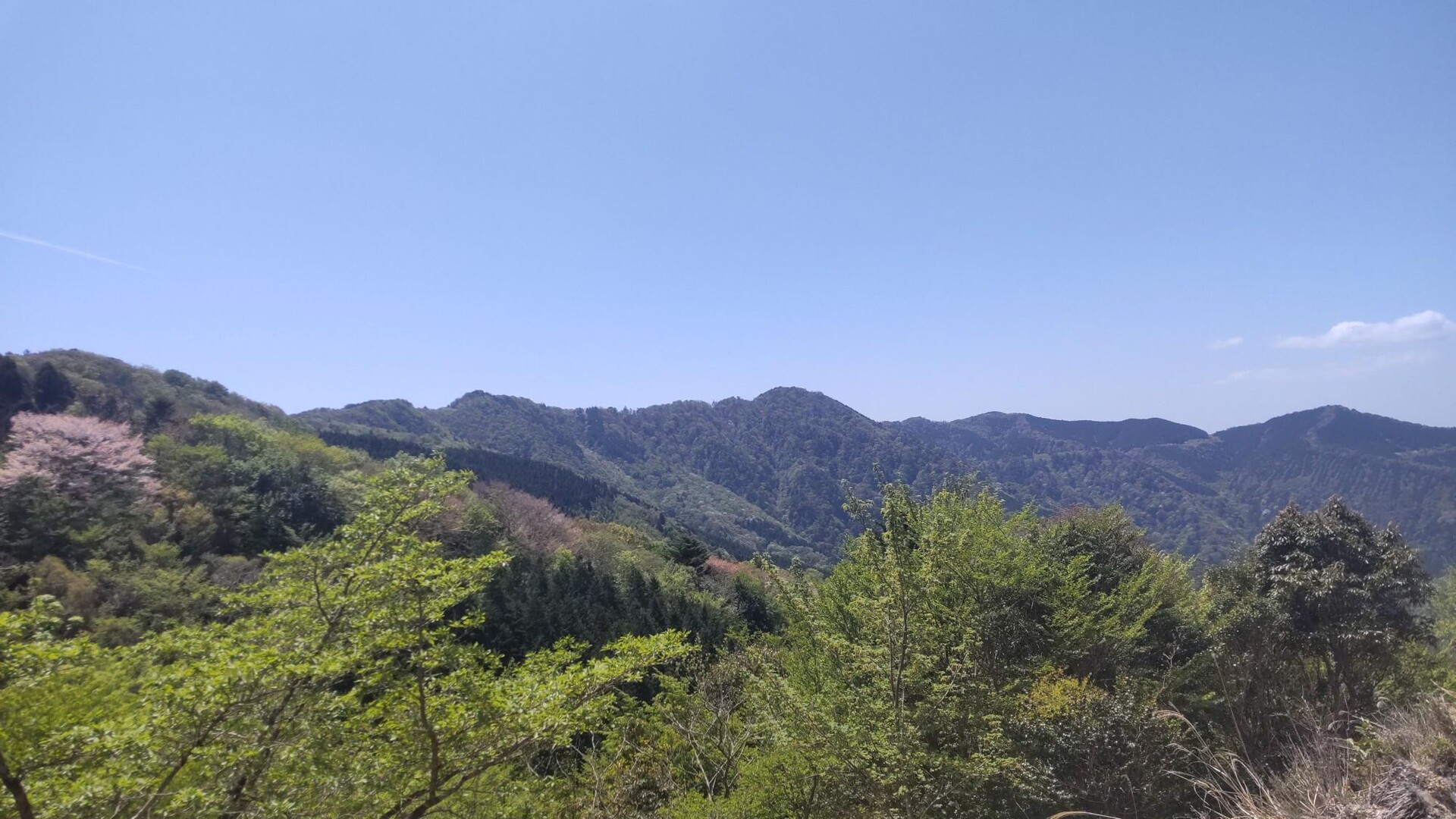 大平山 / naoさんの白髪岳・猪ノ子伏・陀来水岳の活動データ | YAMAP / ヤマップ